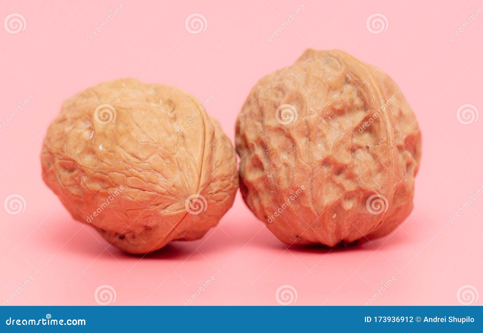 Walnuts on a Pink Background Stock Photo - Image of nature, natural ...