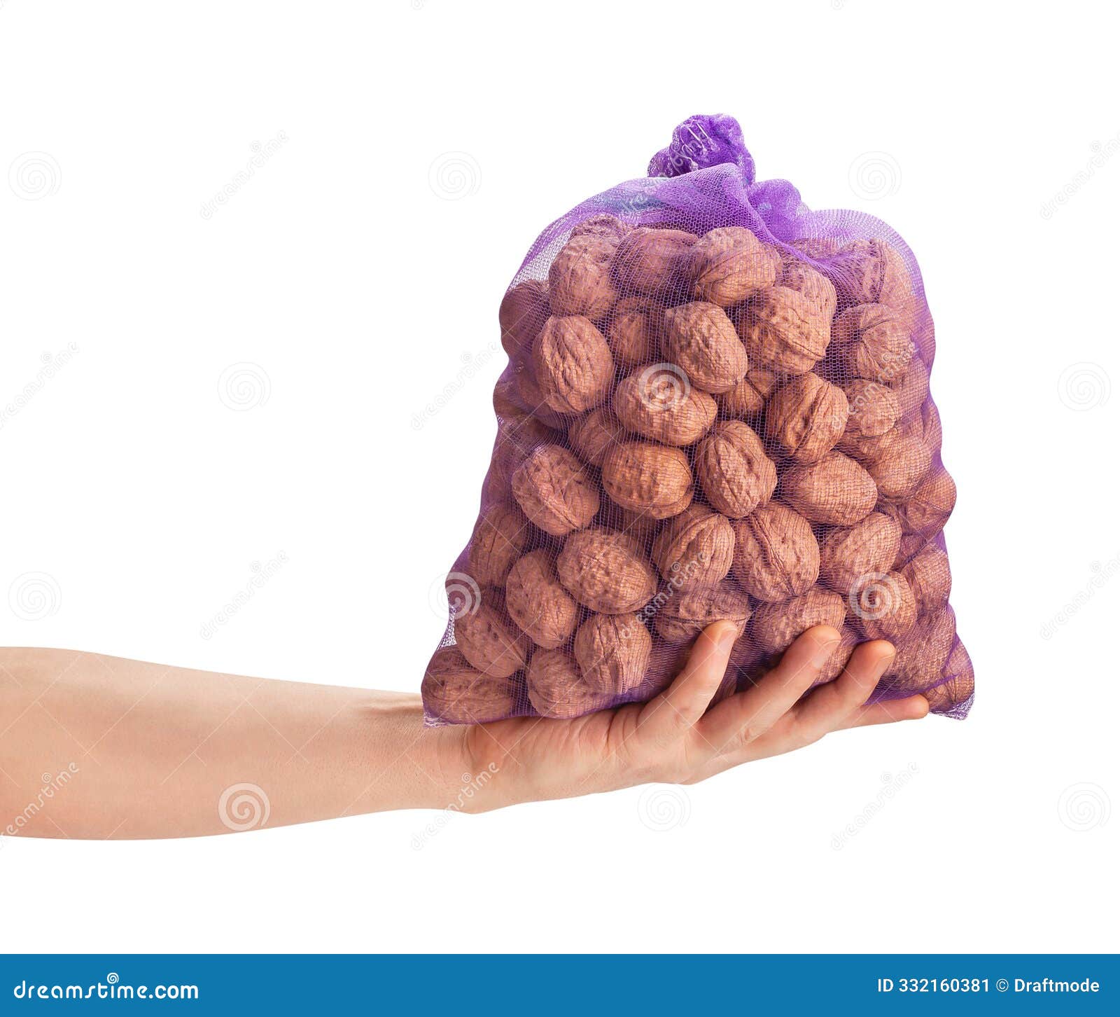 Walnuts sack in hand stock image. Image of isolated - 332160381