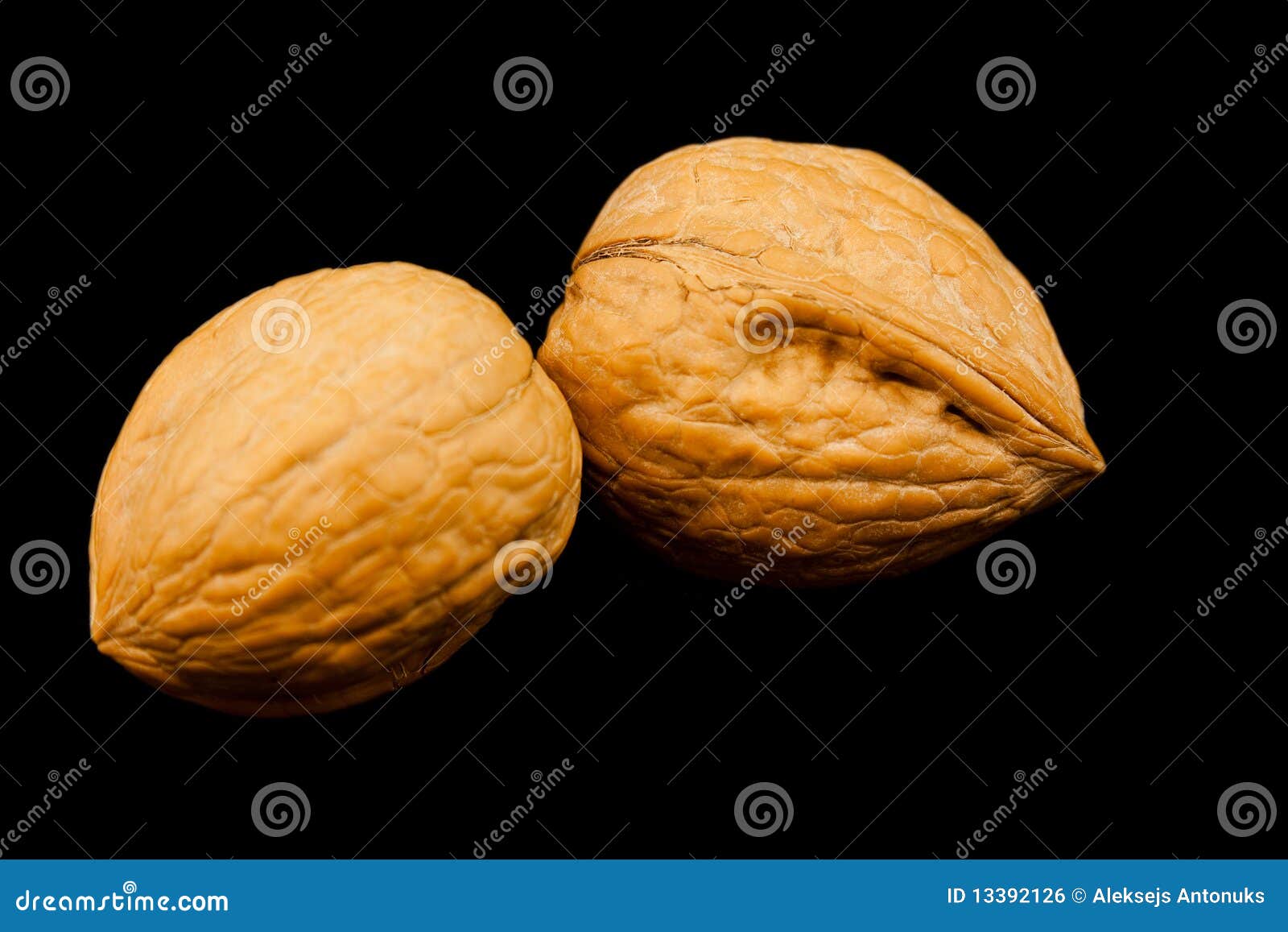 Walnuts in shell stock photo. Image of ingredient, black - 13392126