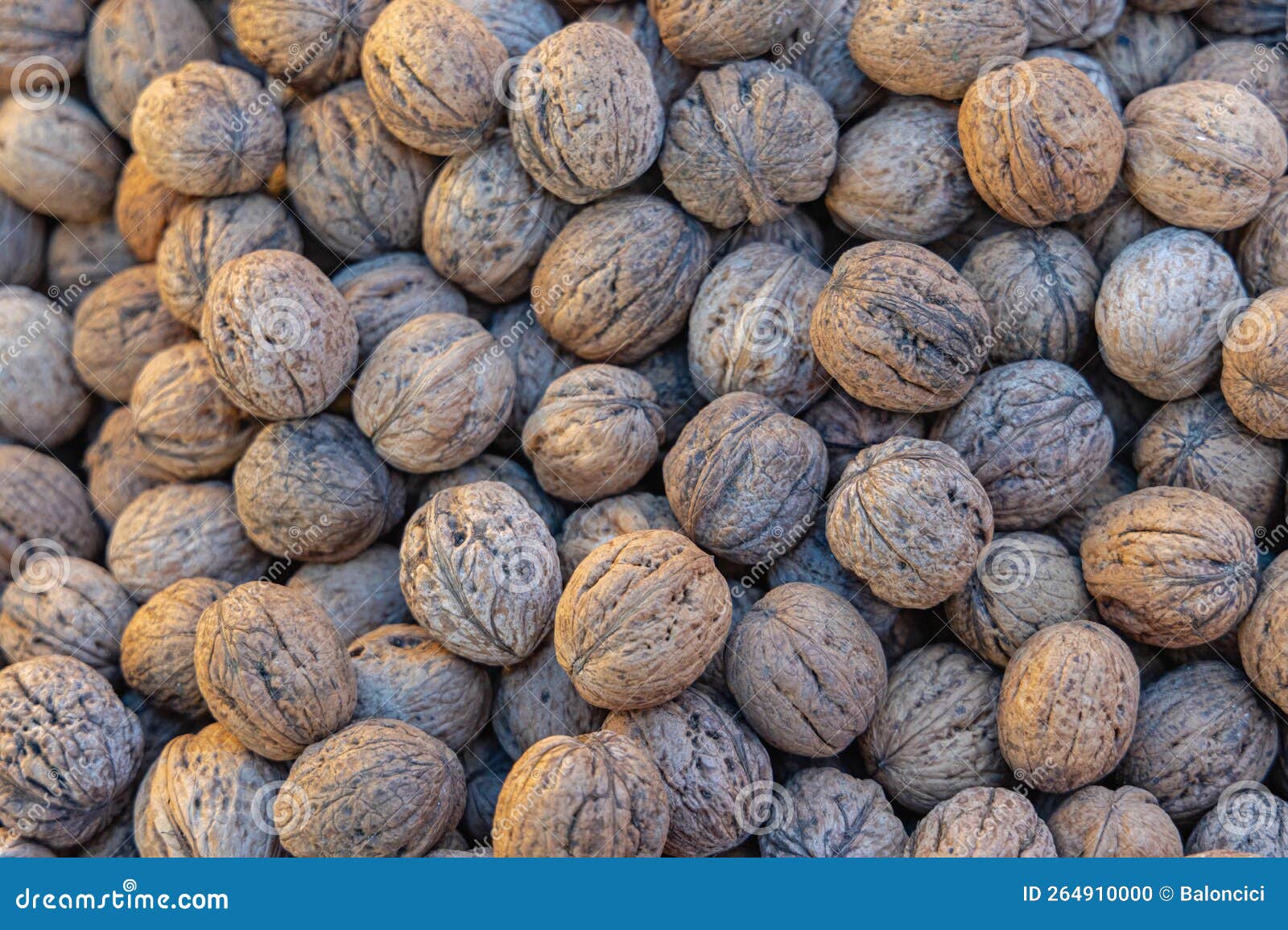 Walnuts in Shell stock photo. Image of 2022, market - 264910000