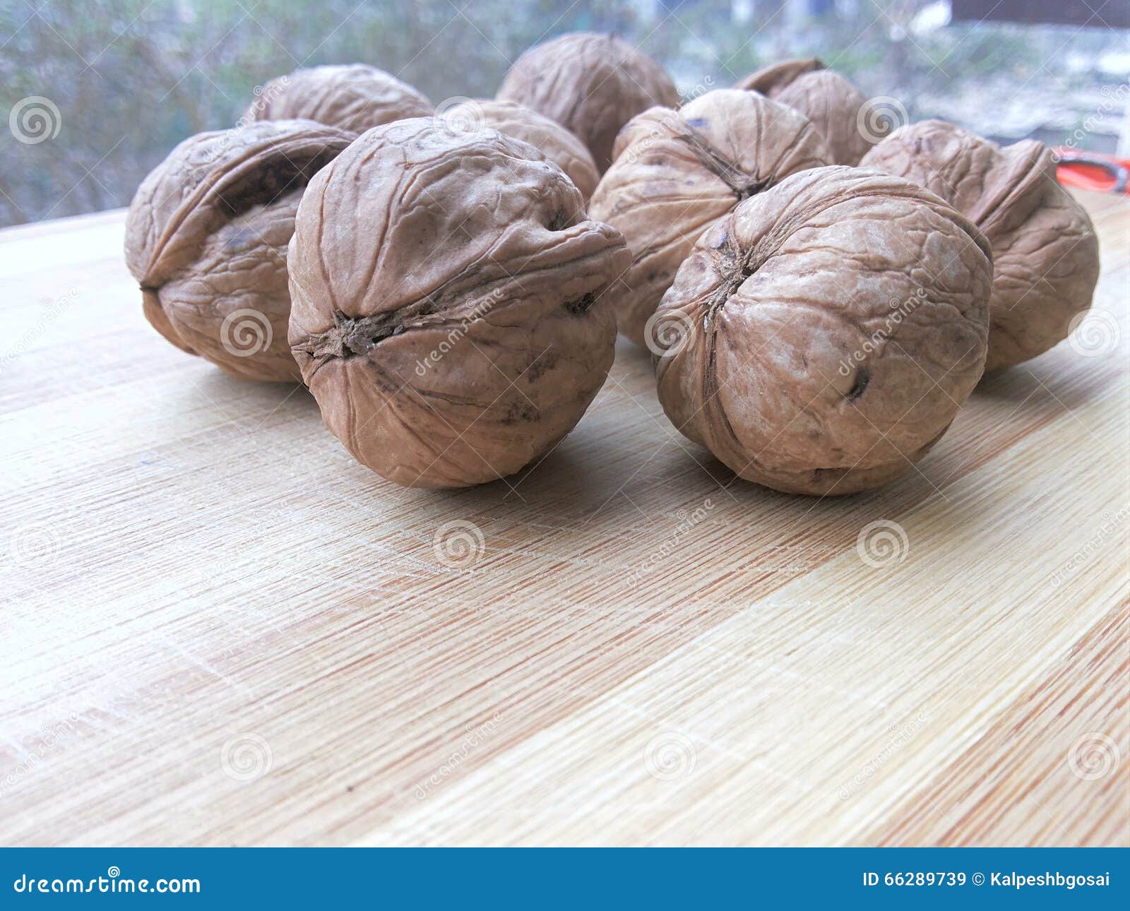 Walnuts shell stock image. Image of backgroud, dressings - 66289739