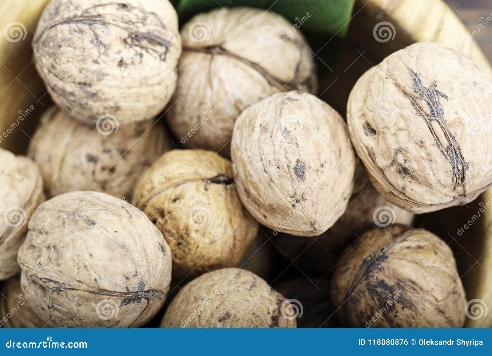Walnuts in shell closeup stock photo. Image of healthy - 118080876