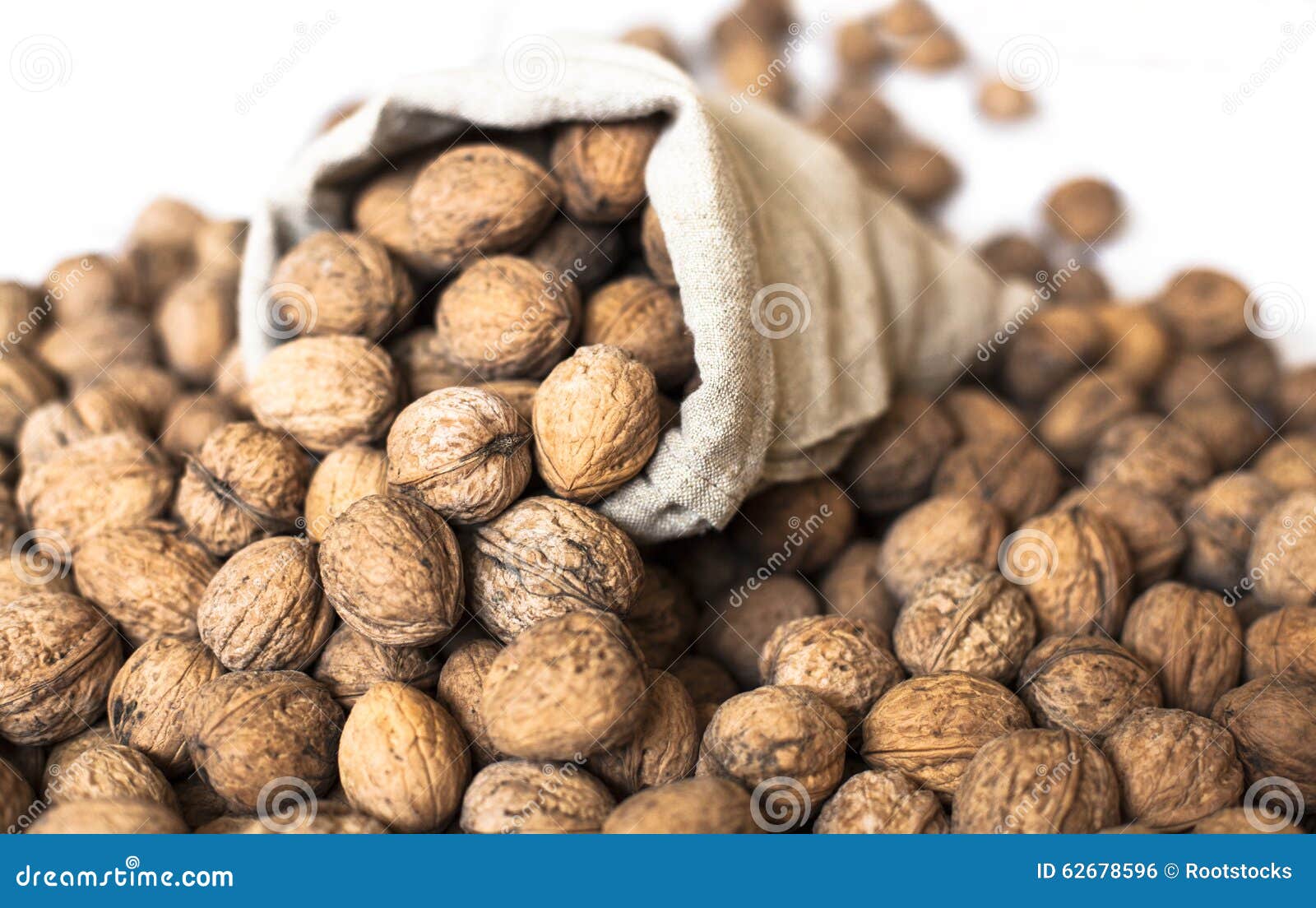 Walnuts in shell stock photo. Image of cotton, husk, hull - 62678596