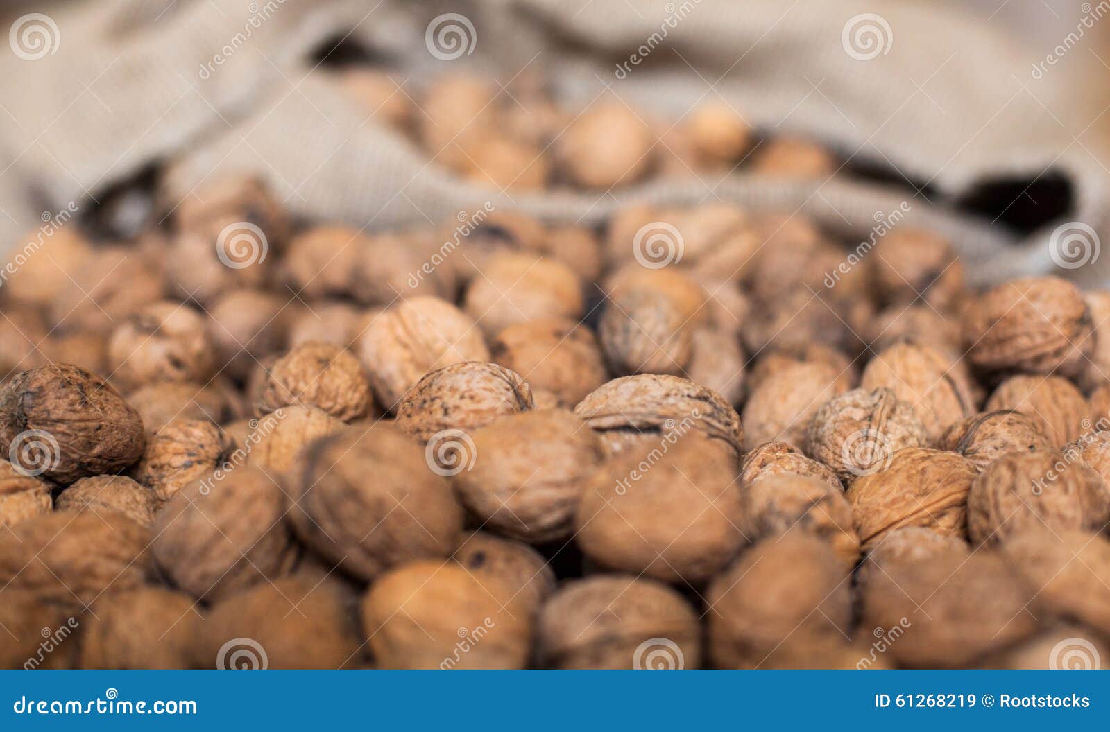 Walnuts in shell stock image. Image of natural, nutty - 61268219