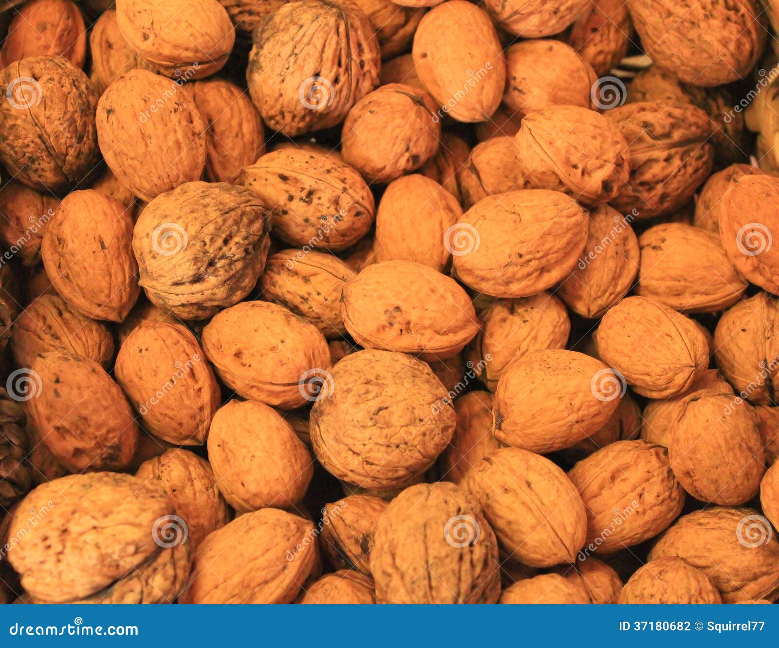 Walnuts in shells stock photo. Image of brown, diet, background - 37180682