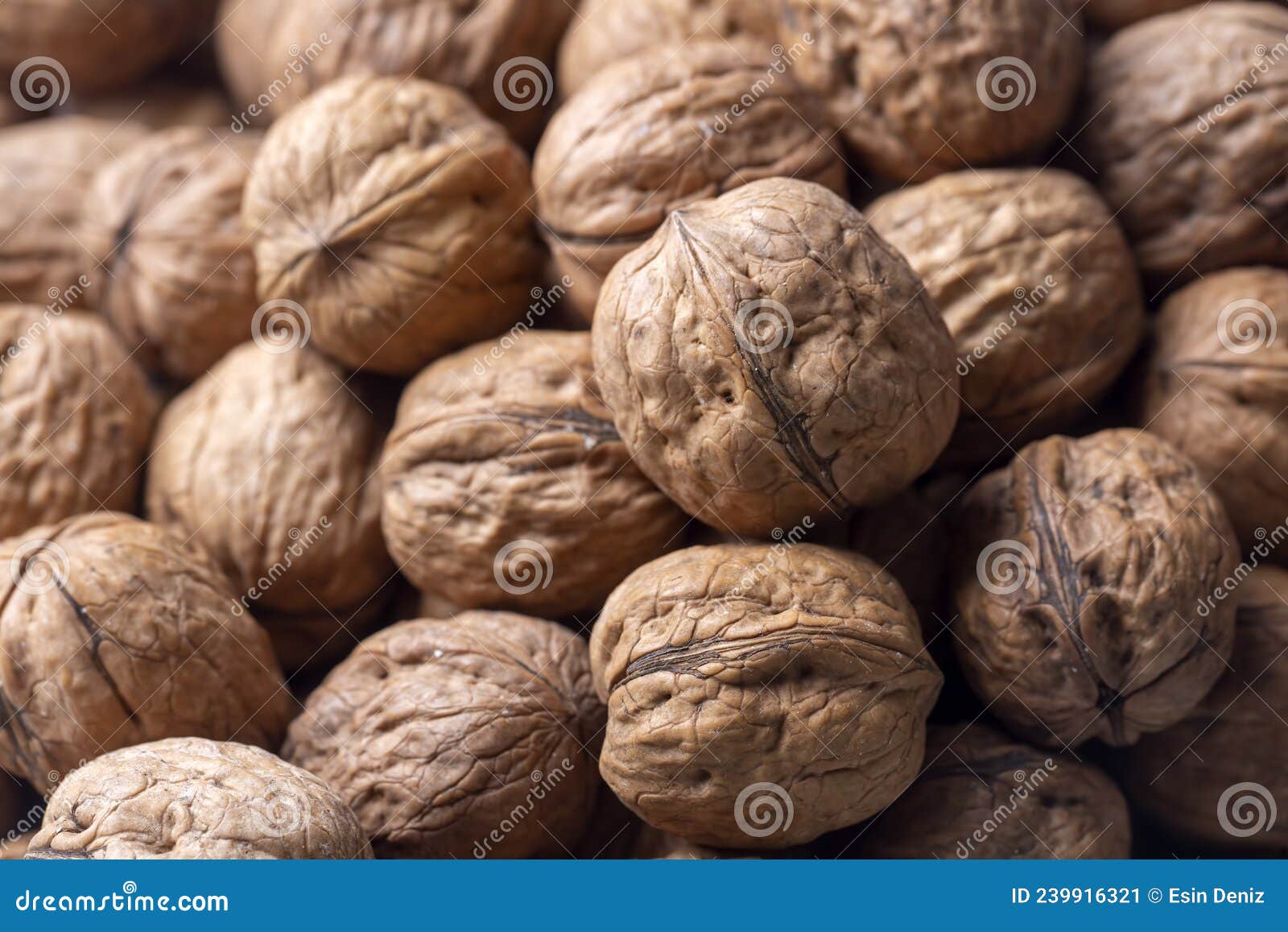 Walnuts with and without Shells Filling the Picture. Background of ...