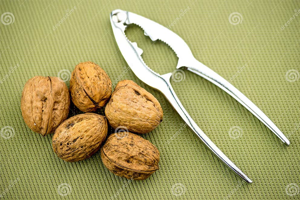Walnuts in Shells with Nut Cracker Stock Image - Image of cracker ...