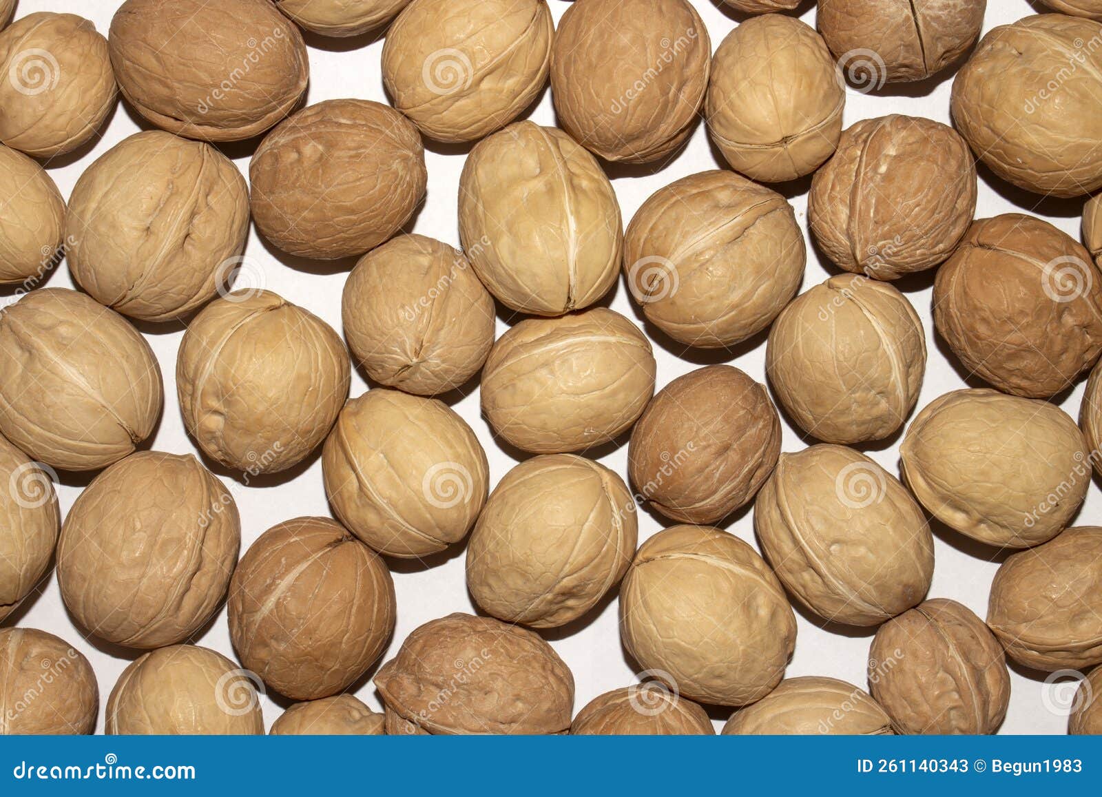 Top View Of Walnut Tree Cross-section With A Big Knot. Wood Grain ...