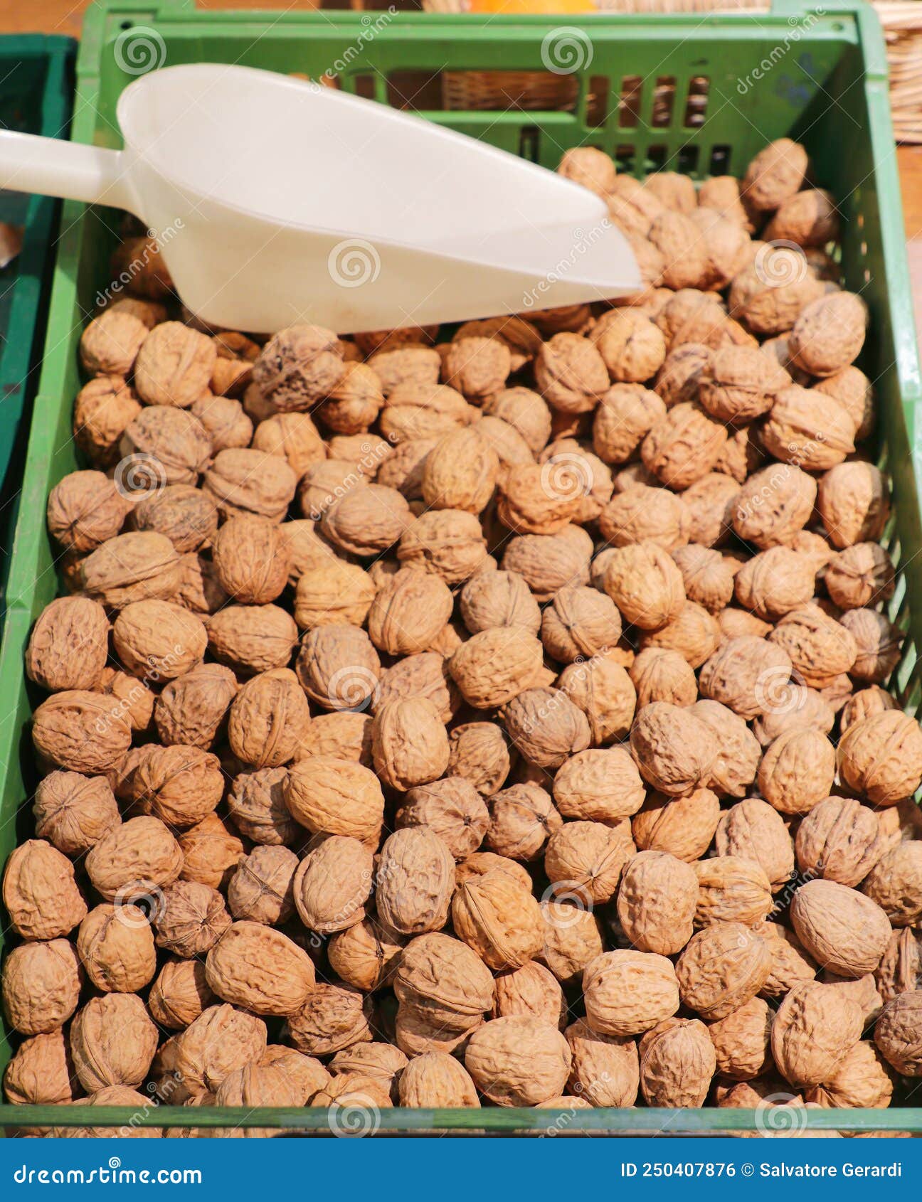 Walnuts Sold at the Fruit Market Stock Photo - Image of mature ... Walnuts Sold at the Fruit Market Stock Photo - Image of mature ...