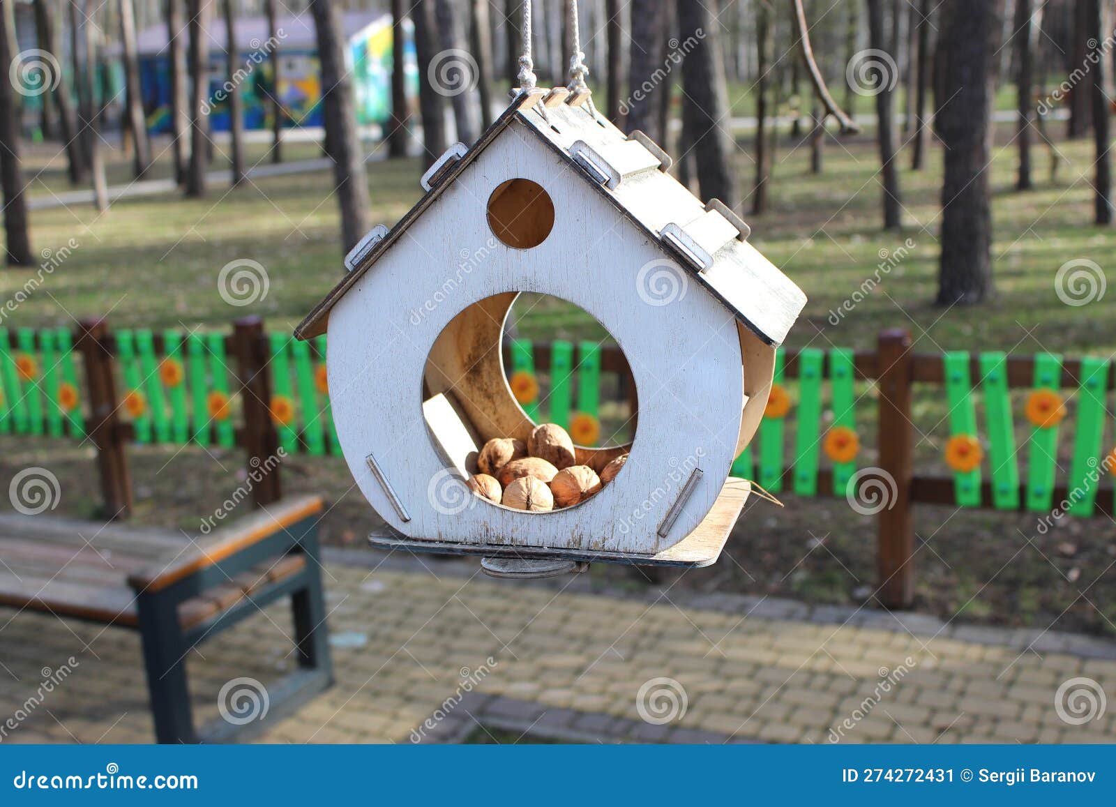 Walnuts for Squirrels in a Bird Feeder Near a Playground in a Park Area ...