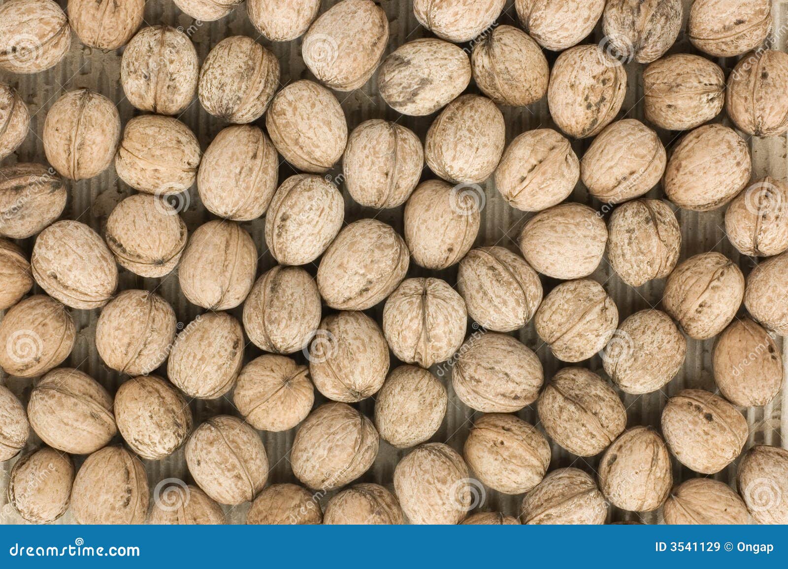 Walnuts texture stock image. Image of dirty, autumn, seed - 3541129