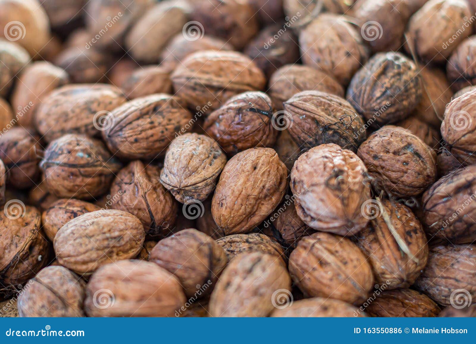 Walnuts stock photo. Image of nutritious, large, market - 163550886