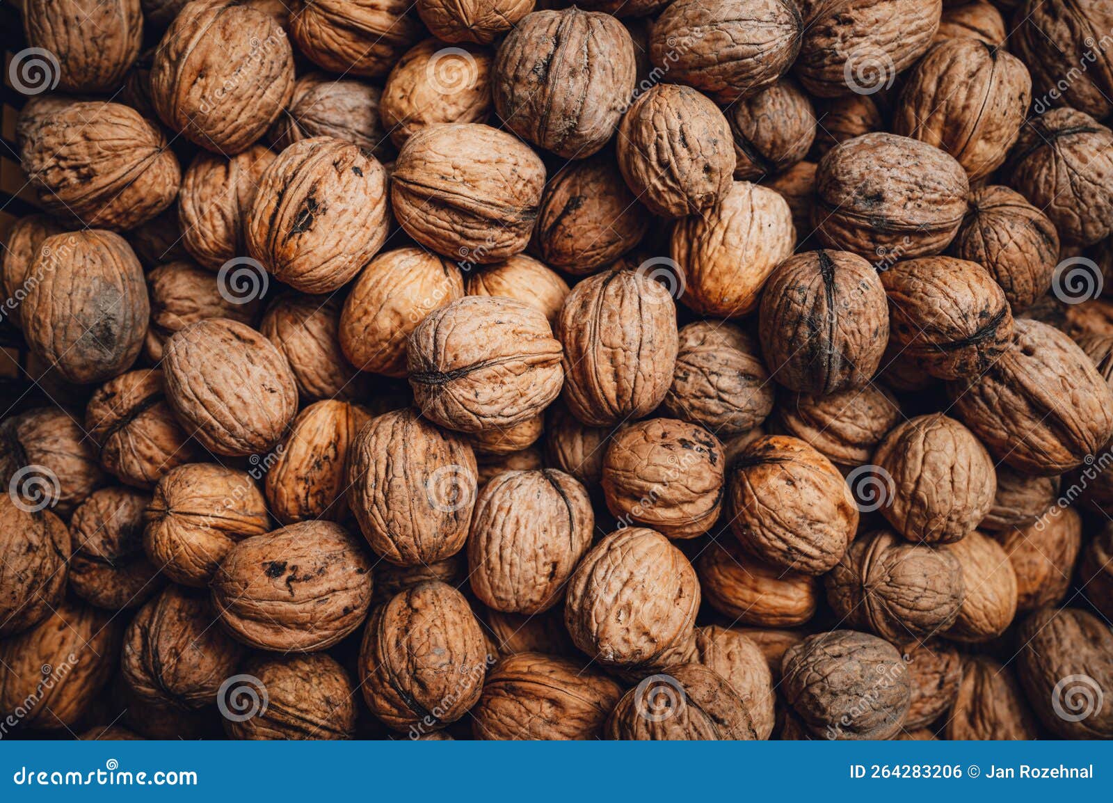 Walnuts, Top Down View of a Large Number of Nuts Stock Photo - Image of ...