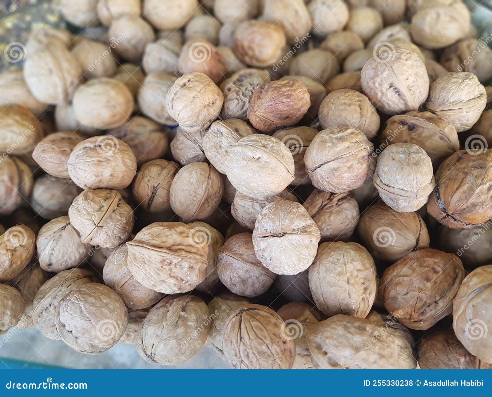 Walnuts/ Types of Edible Nut Tree Which Produces these Nuts Stock Photo ...