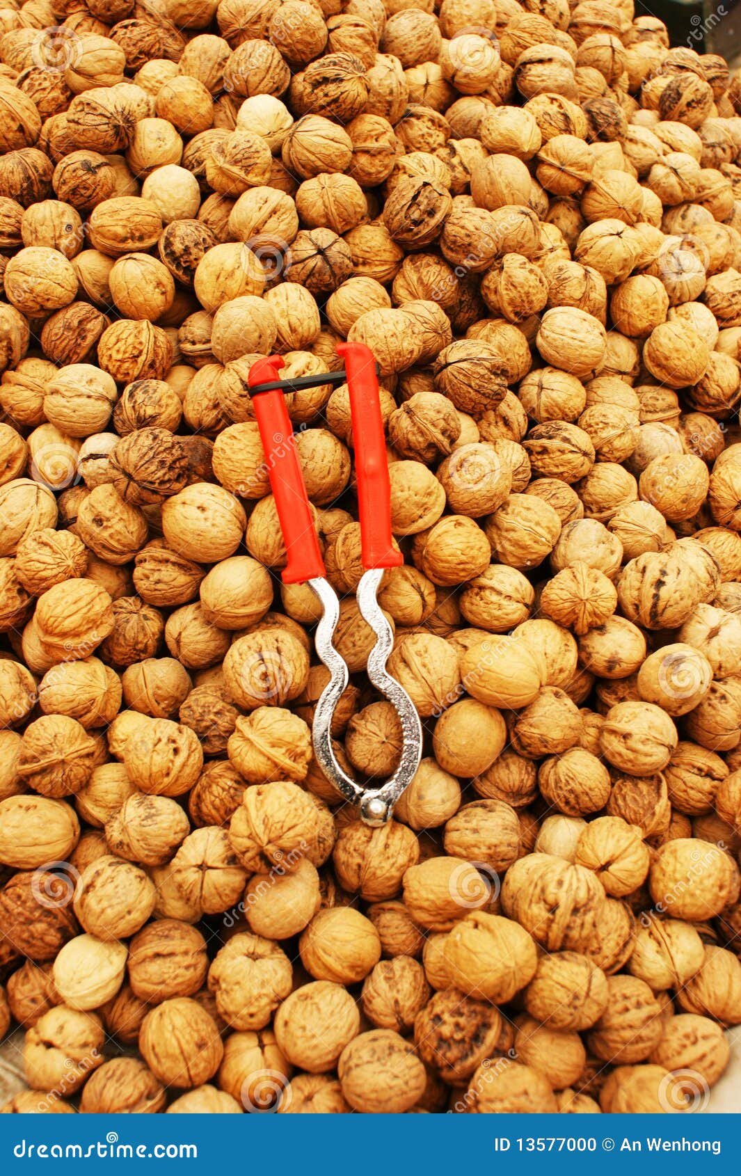 Walnuts and walnut clip stock photo. Image of clip, mature - 13577000