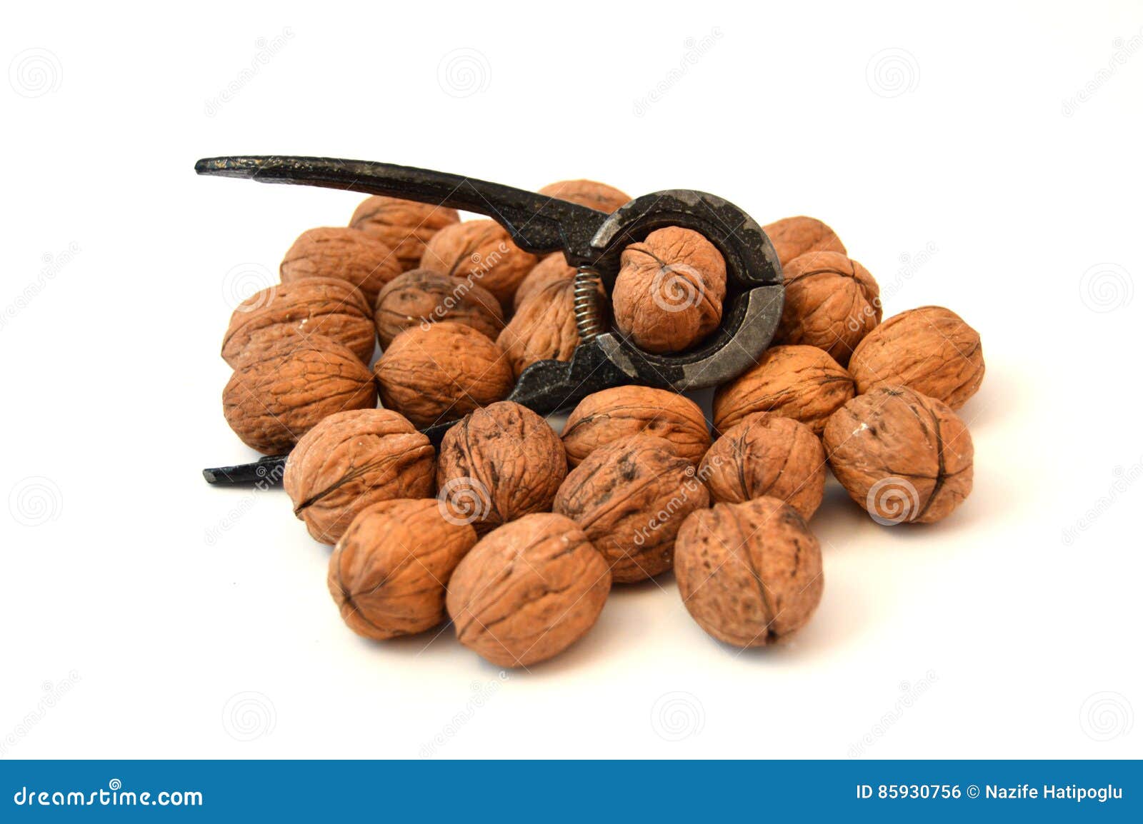 Walnuts and Walnut Cracking Tool Stock Photo - Image of break, diet ...