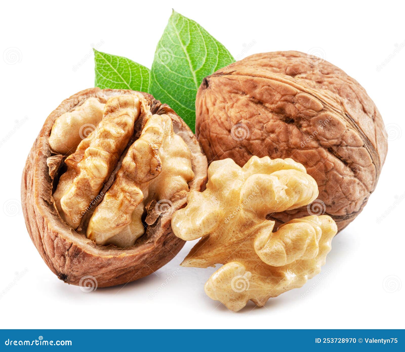 Walnuts, Walnut Kernel and Green Leaves Isolated on White Background ...