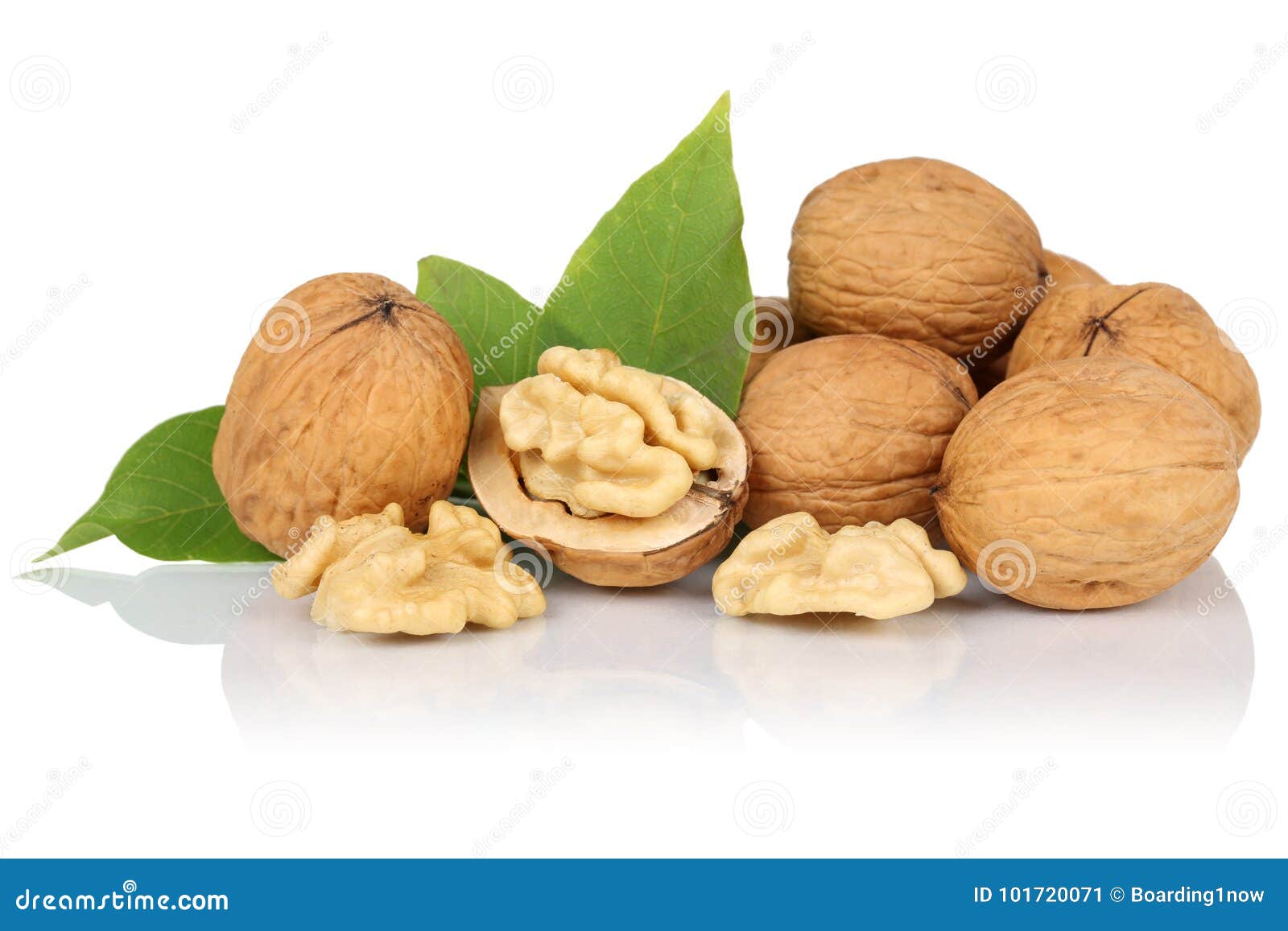 Walnuts Walnut Nuts Nut Nutshell Isolated on White Stock Image - Image ...