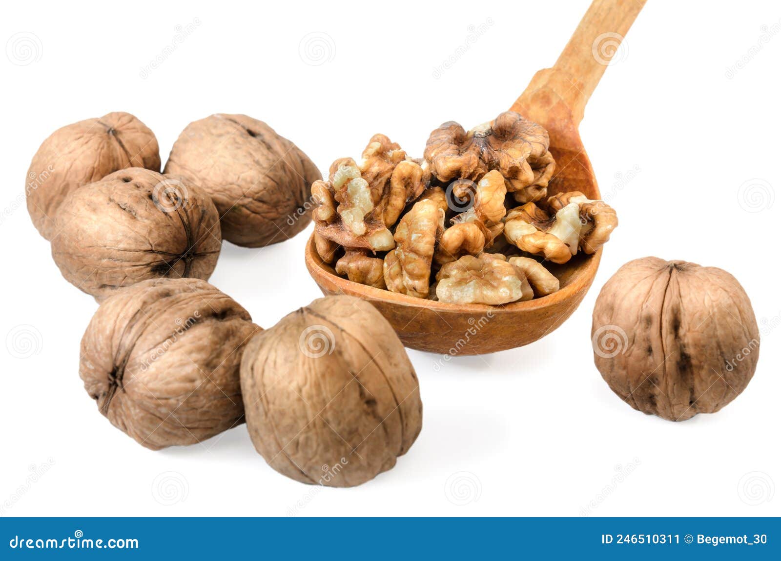Walnuts stock image. Image of kernel, group, hard, farming - 246510311