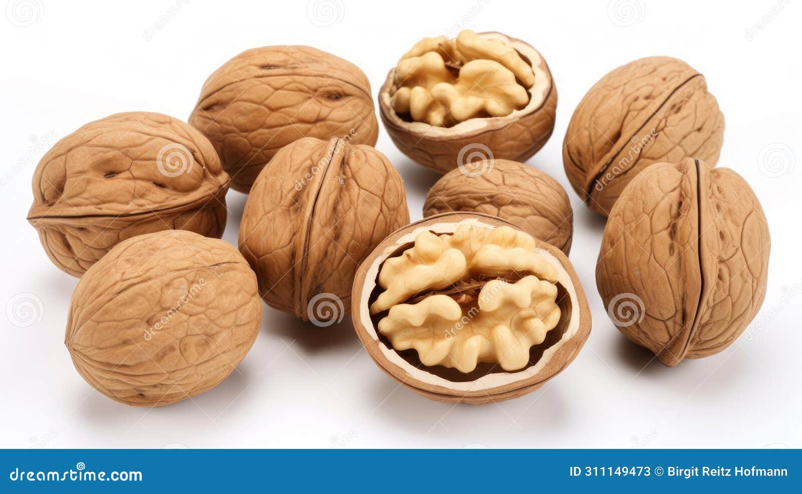 Walnuts stock illustration. Illustration of food, mature - 311149473