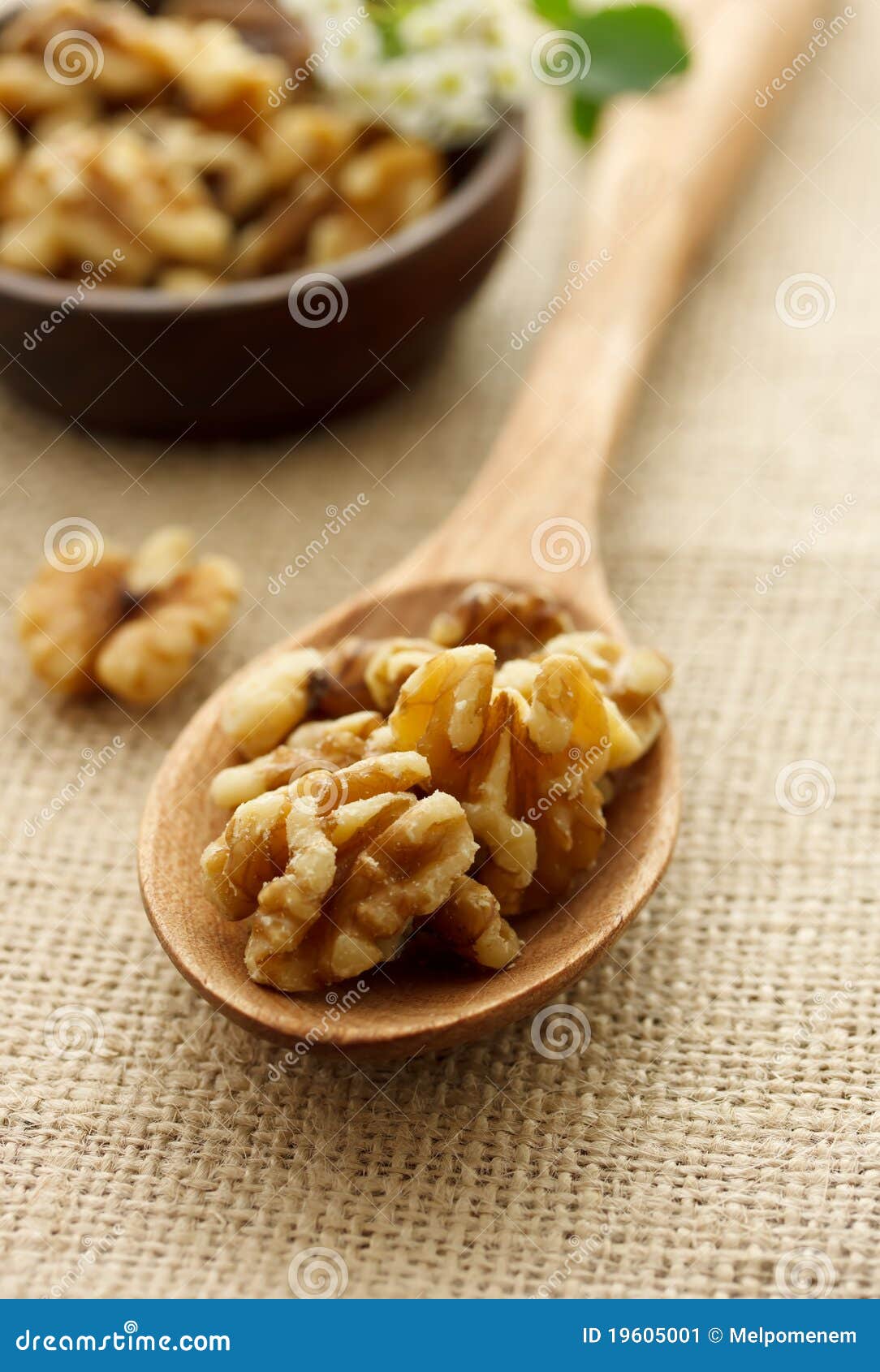 Walnuts in wooden spoon stock image. Image of dieting - 19605001
