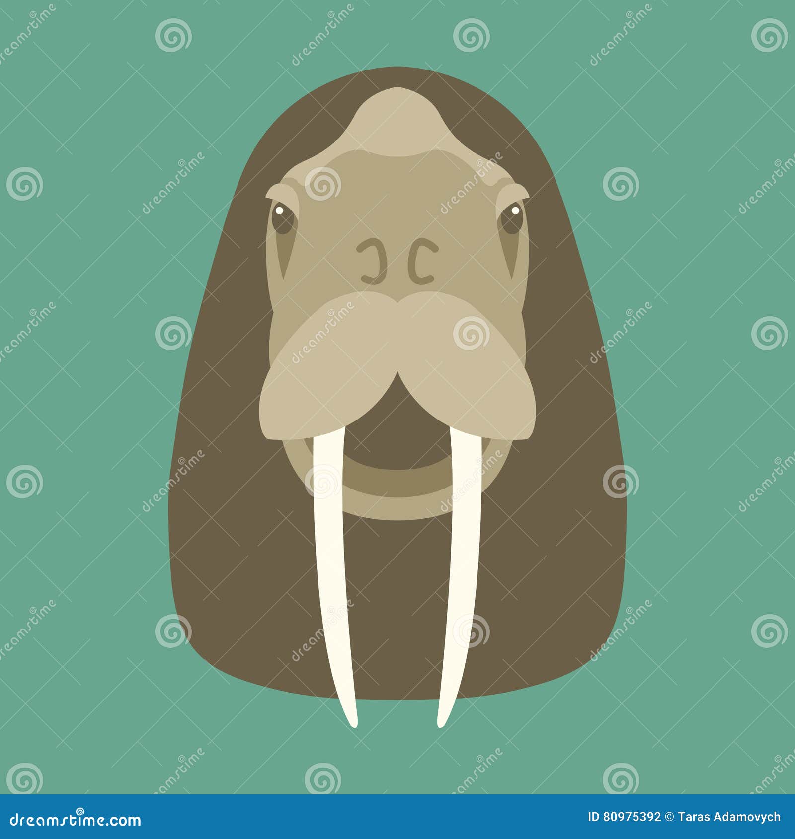 Walrus Head Face Vector Illustration Style Stock Vector - Illustration ... Walrus Head Face Vector Illustration Style Stock Vector - Illustration ...