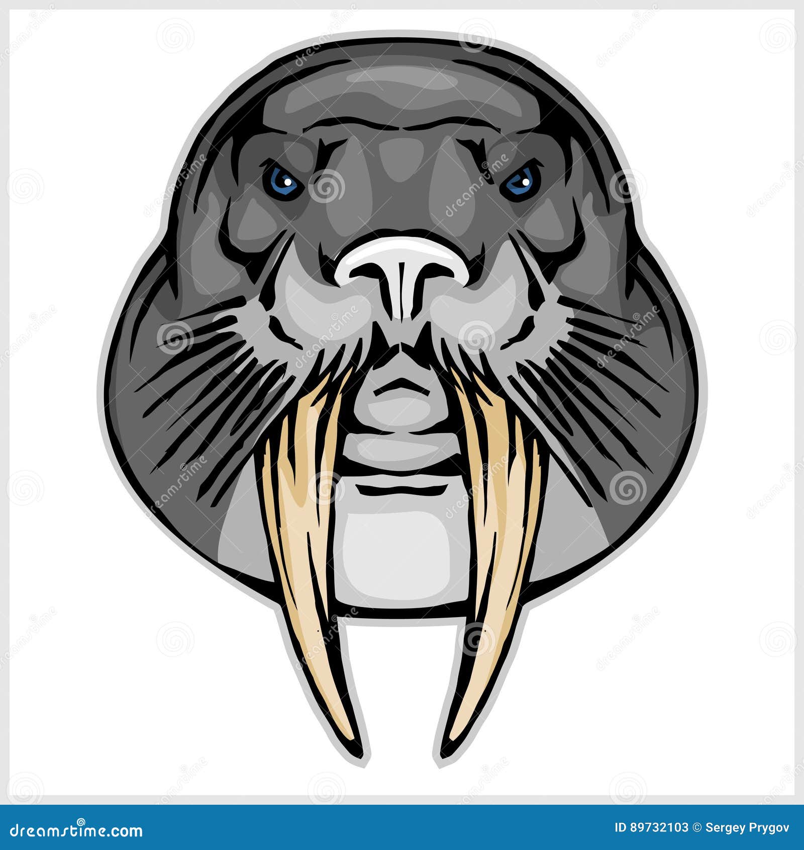 Walrus Odobenus Rosmarus Skeleton In Profile View Cartoon Vector ...