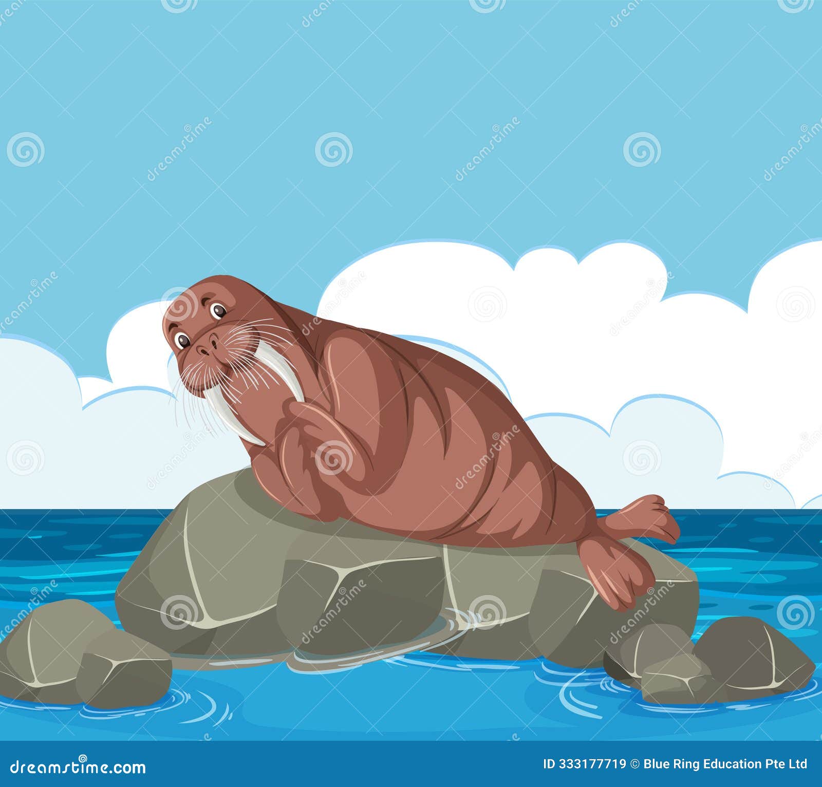 Walrus Relaxing On Ice Chunk In Natural Habitat Royalty-Free Stock ...