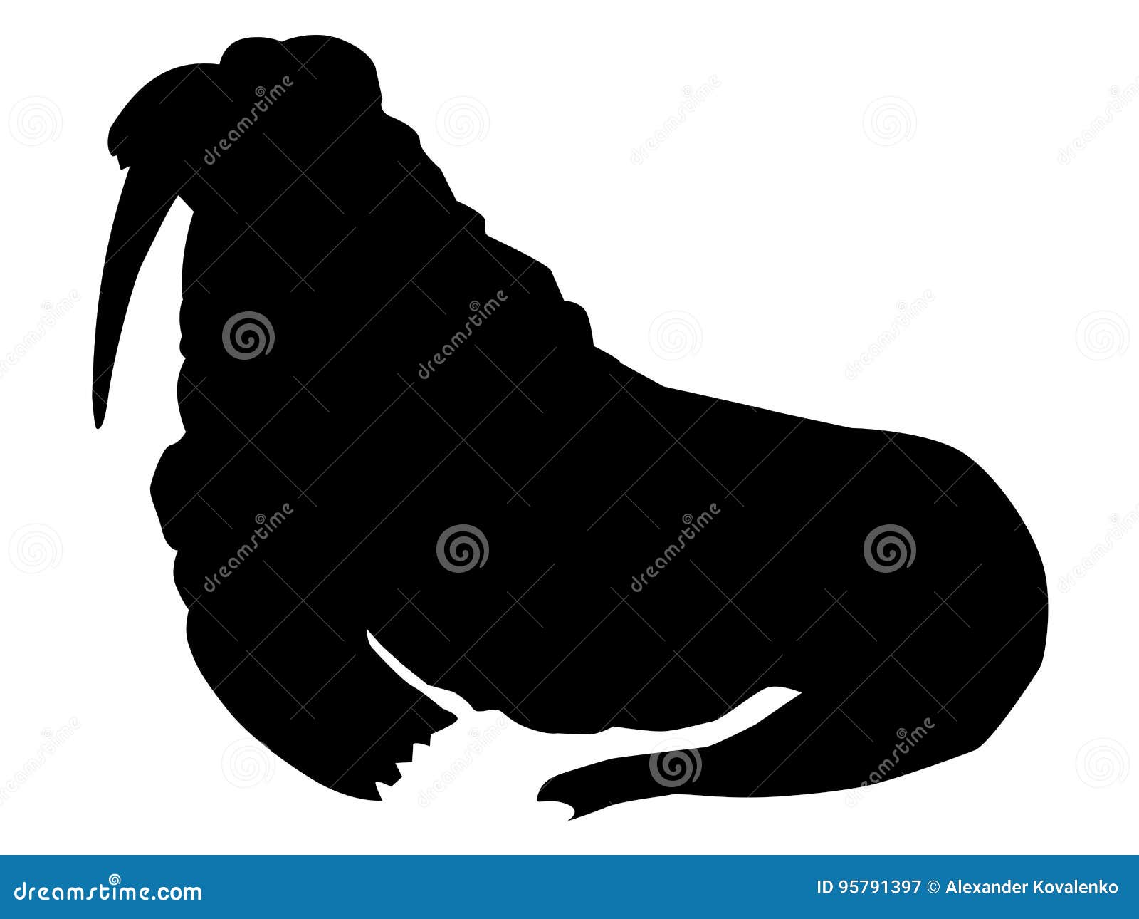 Walrus, side view stock illustration. Illustration of white - 95791397