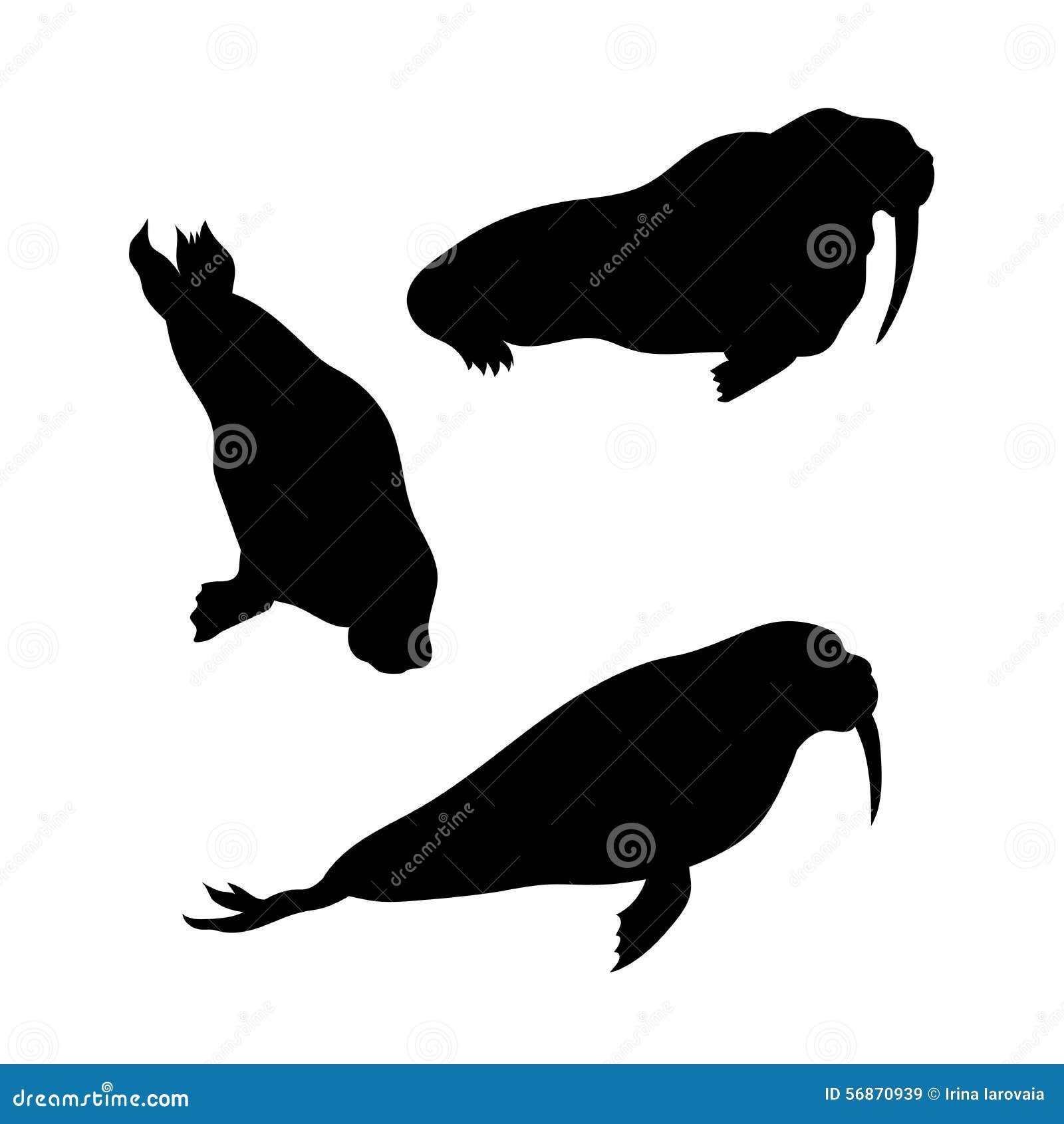 Walrus vector silhouettes stock vector. Illustration of design - 56870939