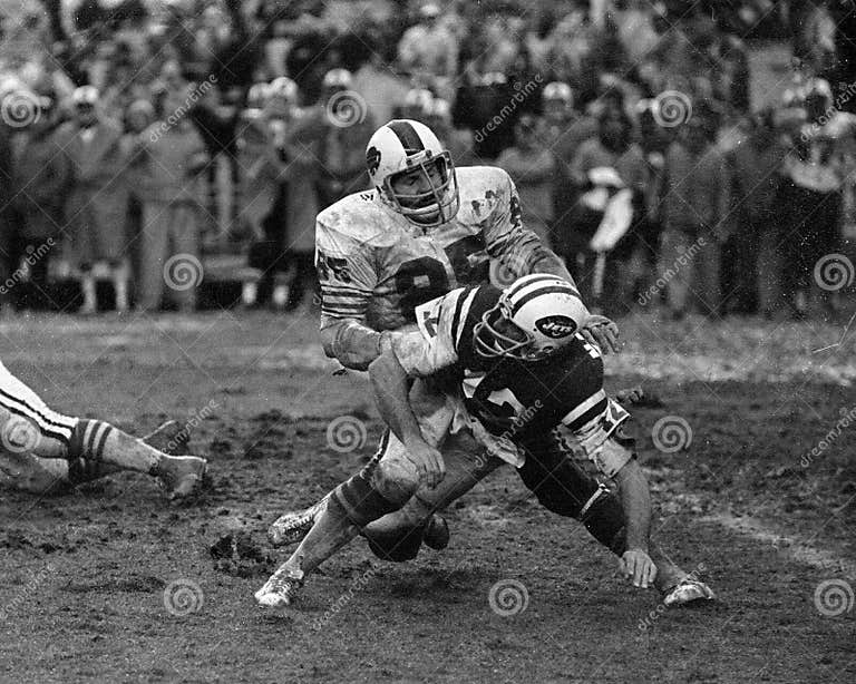 Walt Patulski photo stock éditorial. Image du buffle - 74893068