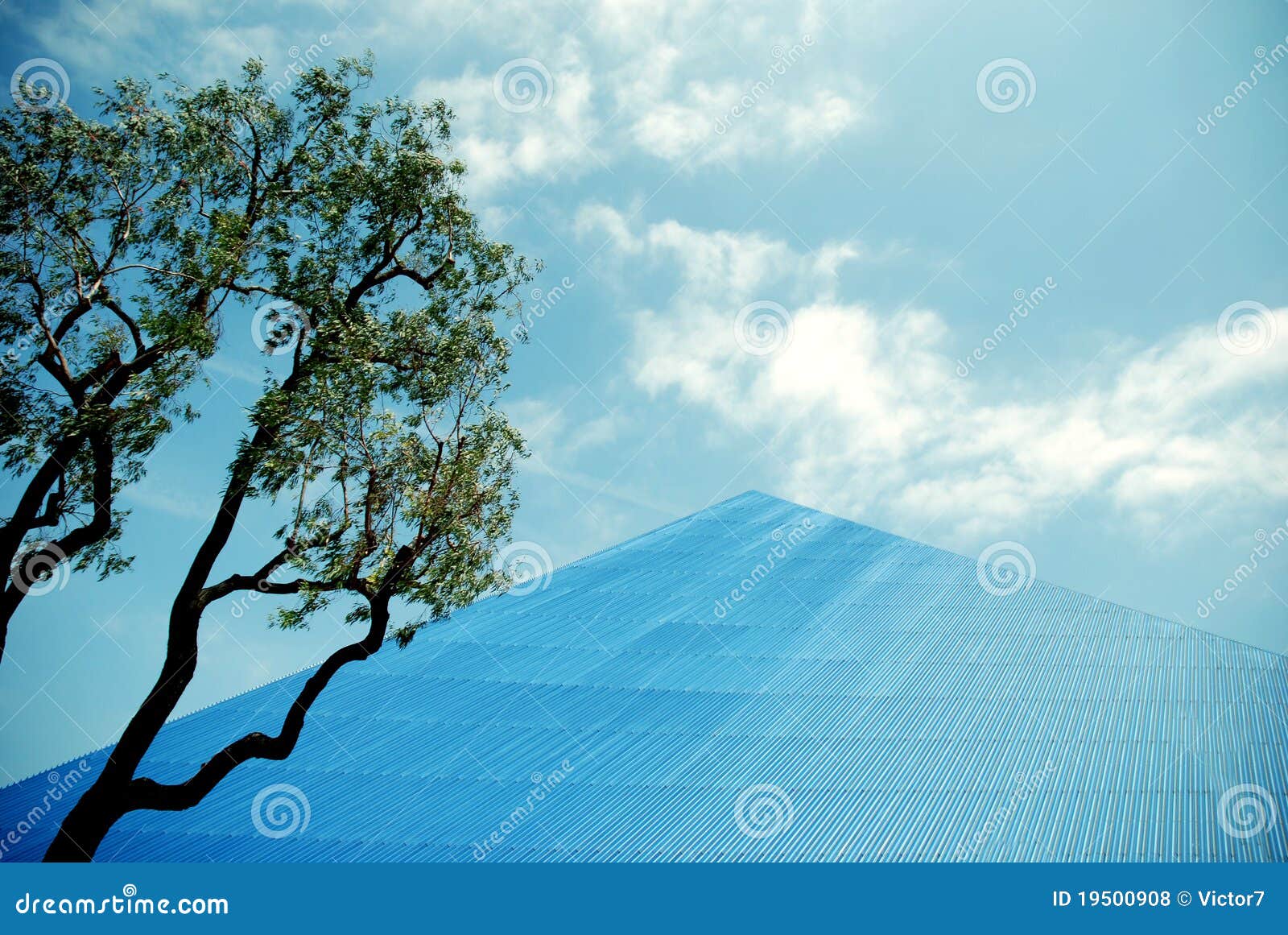 The Walter Pyramid stock photo. Image of downtown, california - 19500908