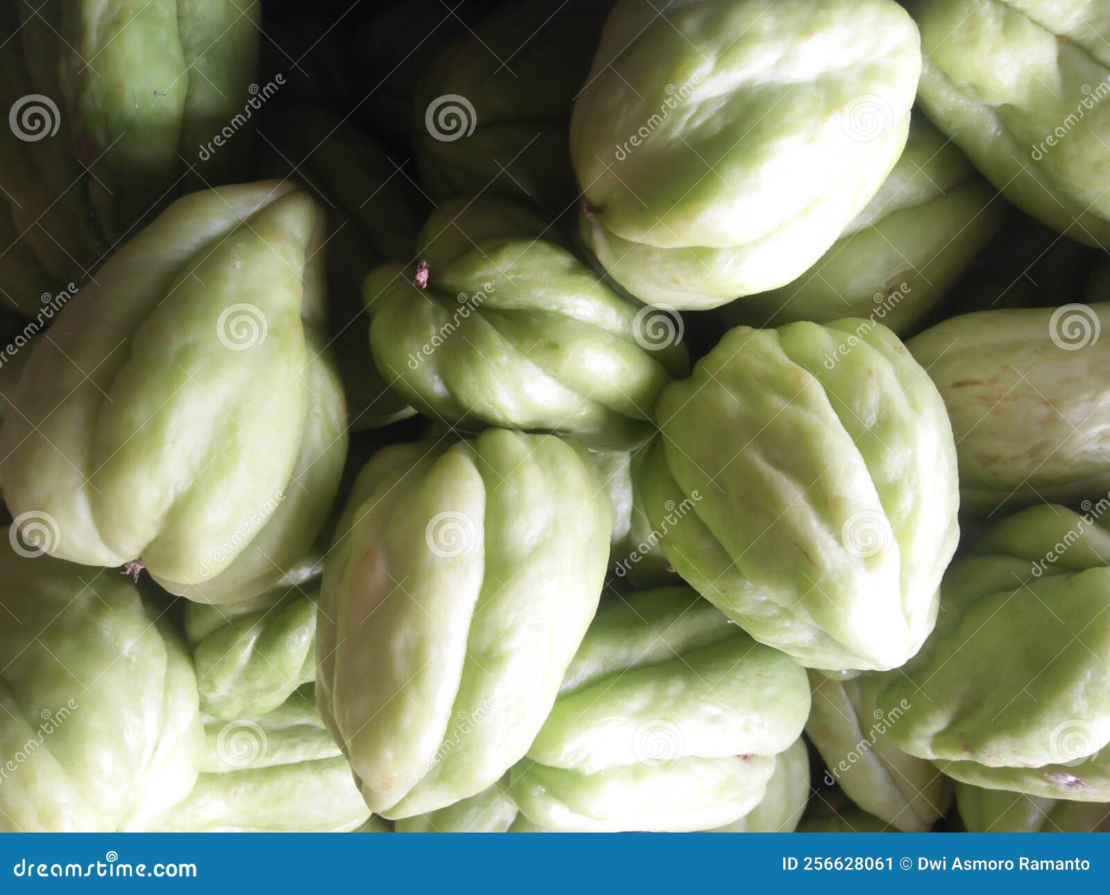 Waluh Fruit stock image. Image of indonesia, healthy - 256628061