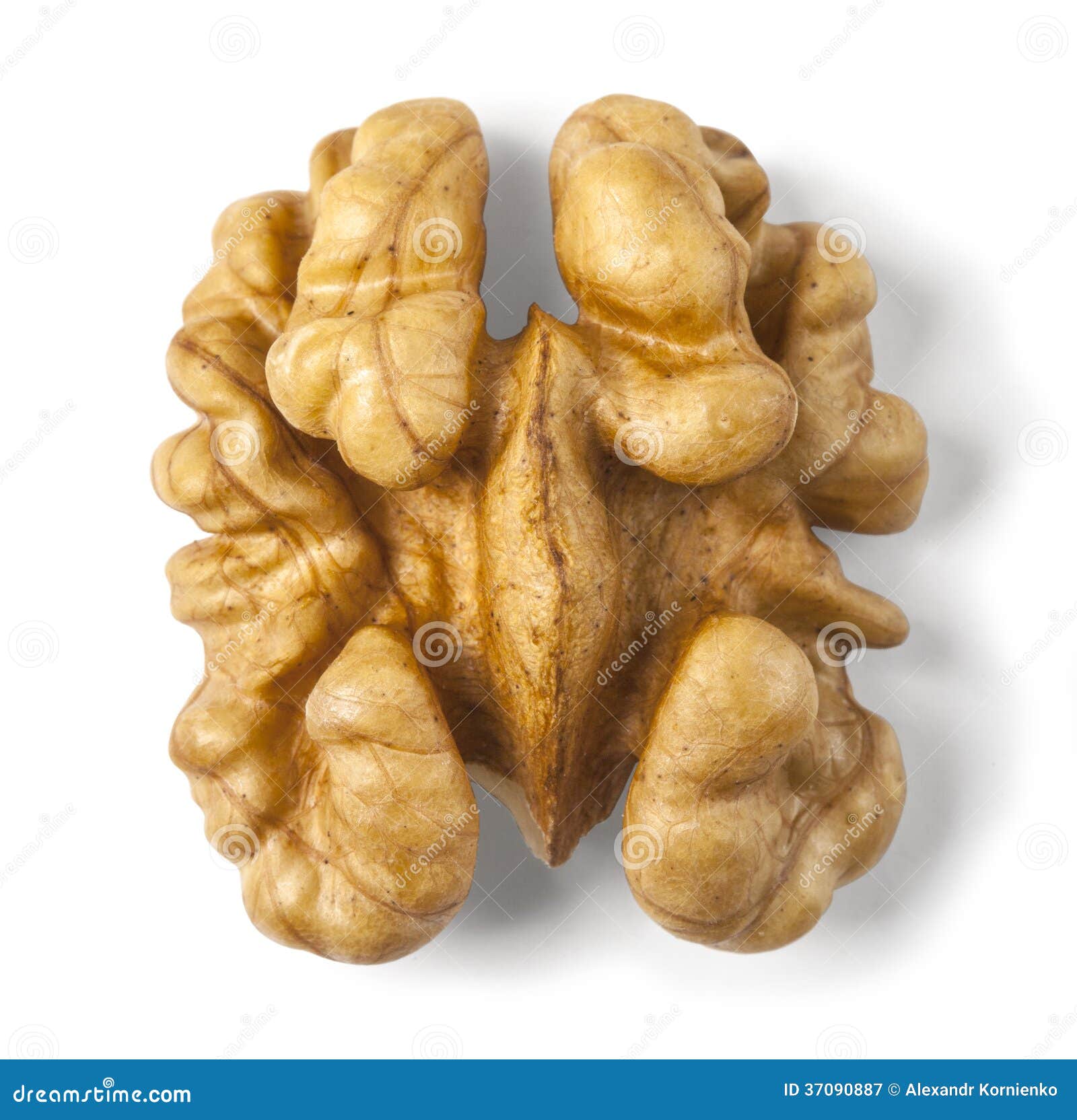 Walut stock image. Image of isolated, nutrient, background - 37090887