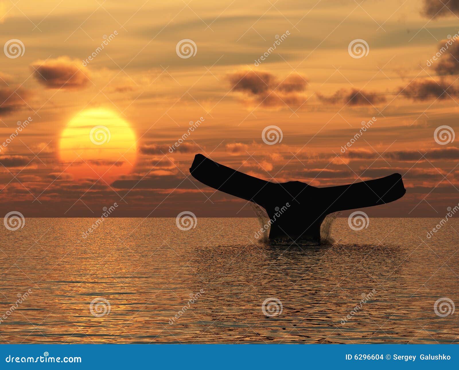Walvis stock foto. Image of idyllisch, hemel, staart, sterkte - 6296604