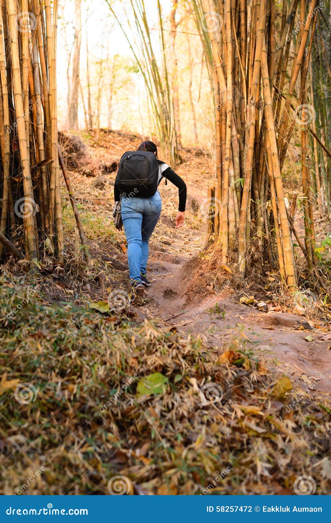 Tropical Waman Stock Photos - Free & Royalty-Free Stock Photos from ...