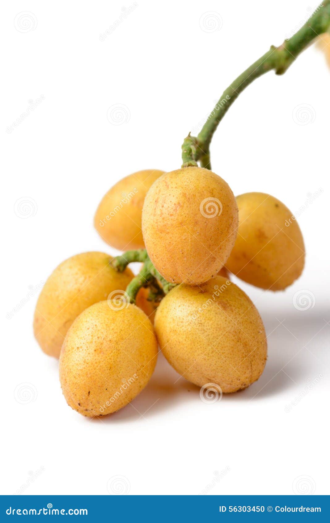 Wampee fruit stock photo. Image of isolated, wimpy, white - 56303450