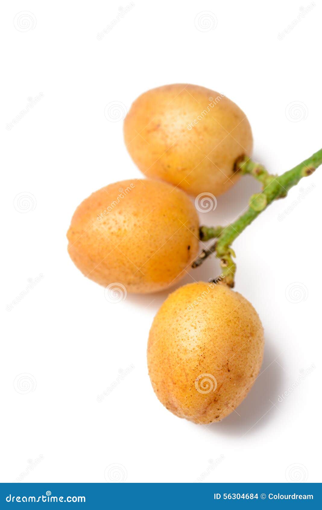 Wampee fruit stock photo. Image of leaf, isolated, yellow - 56304684