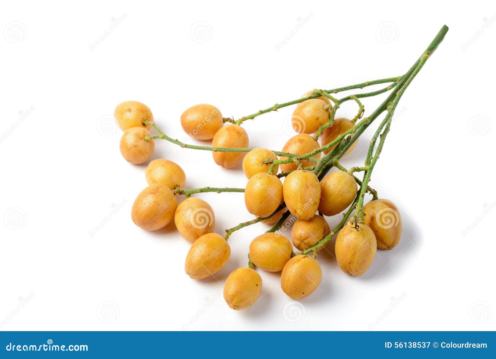 Wampee fruit stock image. Image of white, tropical, wampee - 56138537