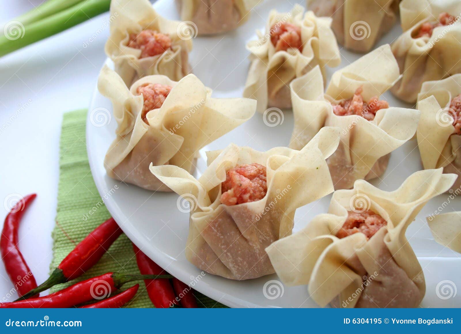 Wan tan stock image. Image of asian, dimsum, wantan, meat - 6304195