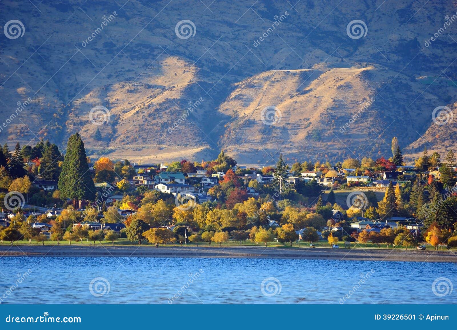 Wanaka Lake View in New Zealand Stock Image - Image of beautiful ...