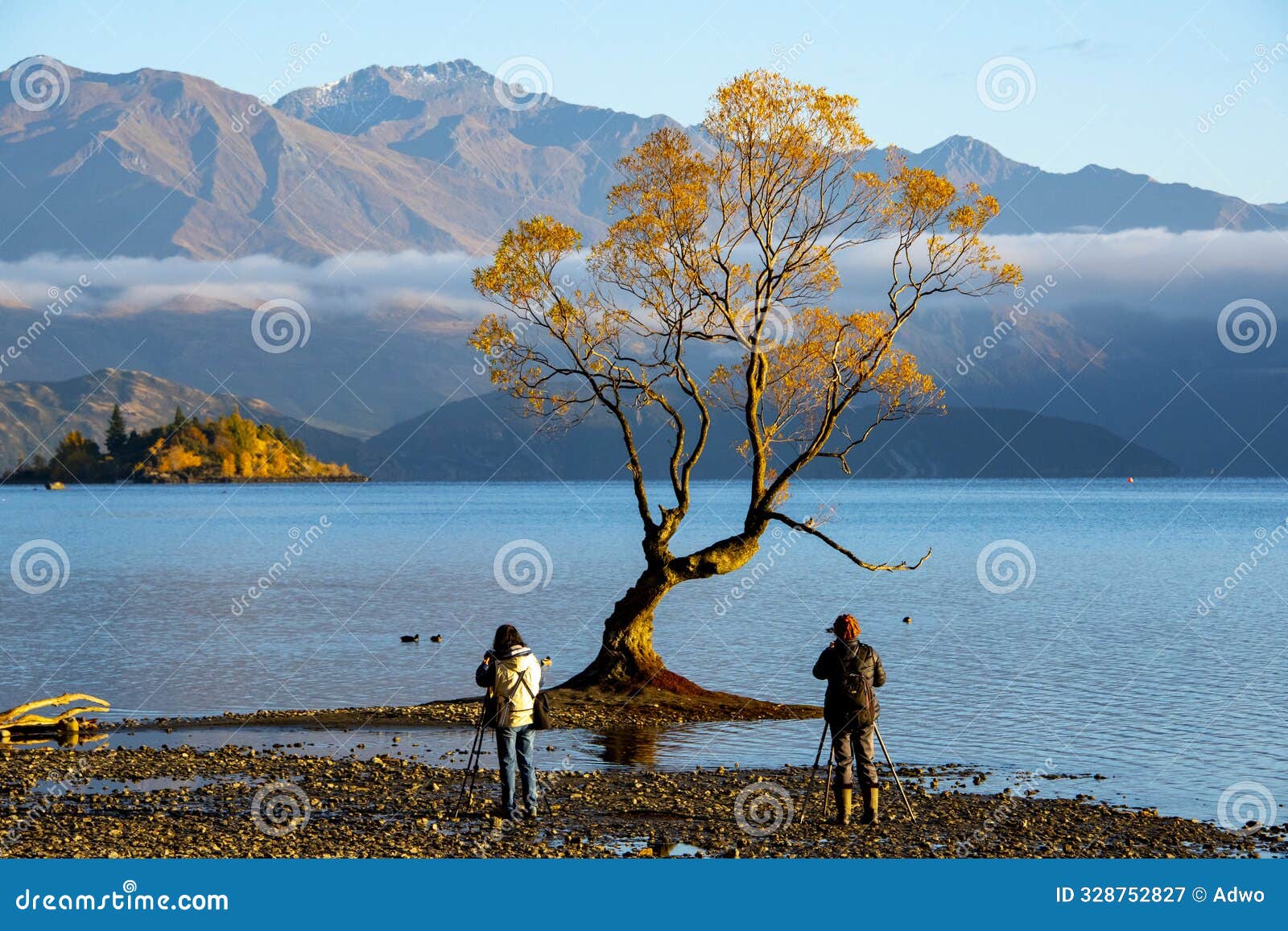 Wanaka Tree In New Zealand With Moody Clouds And Mountains In The ...