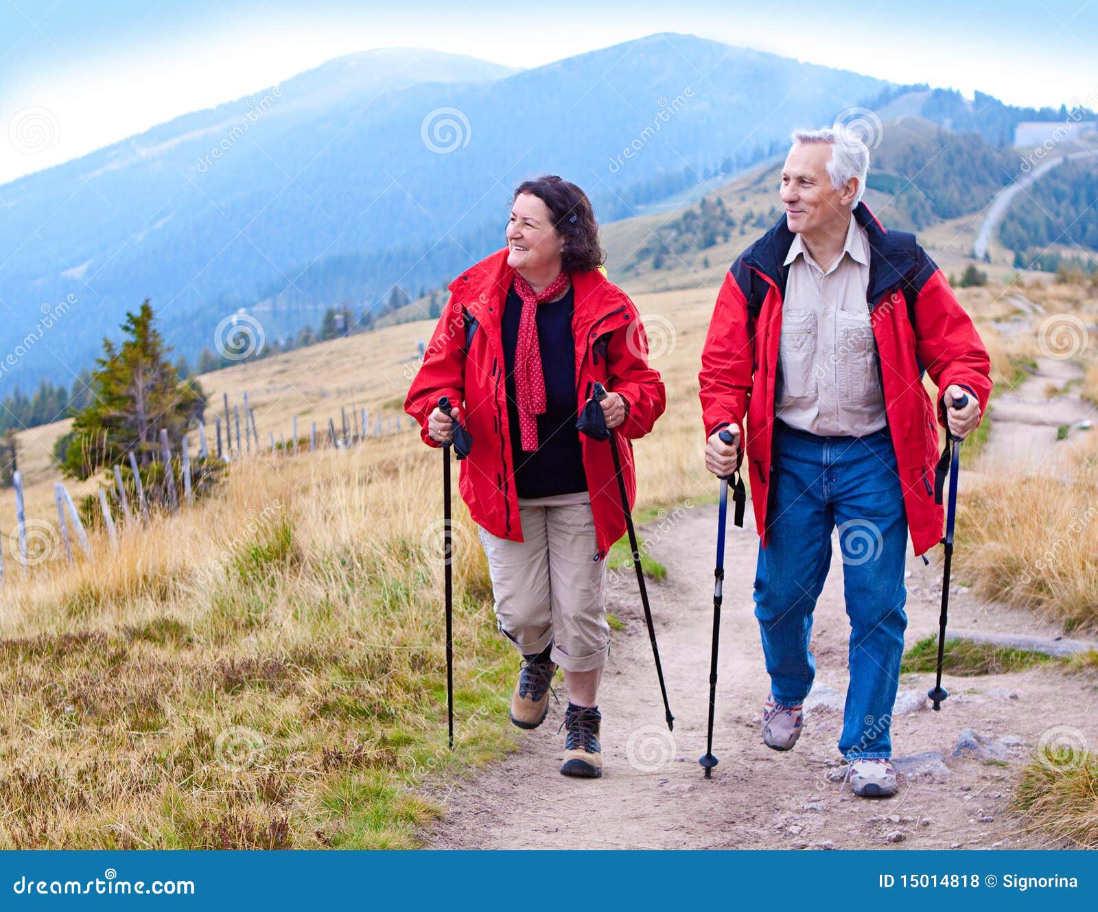 Wandelende oudsten 17 stock foto. Image of actief, weide - 15014818