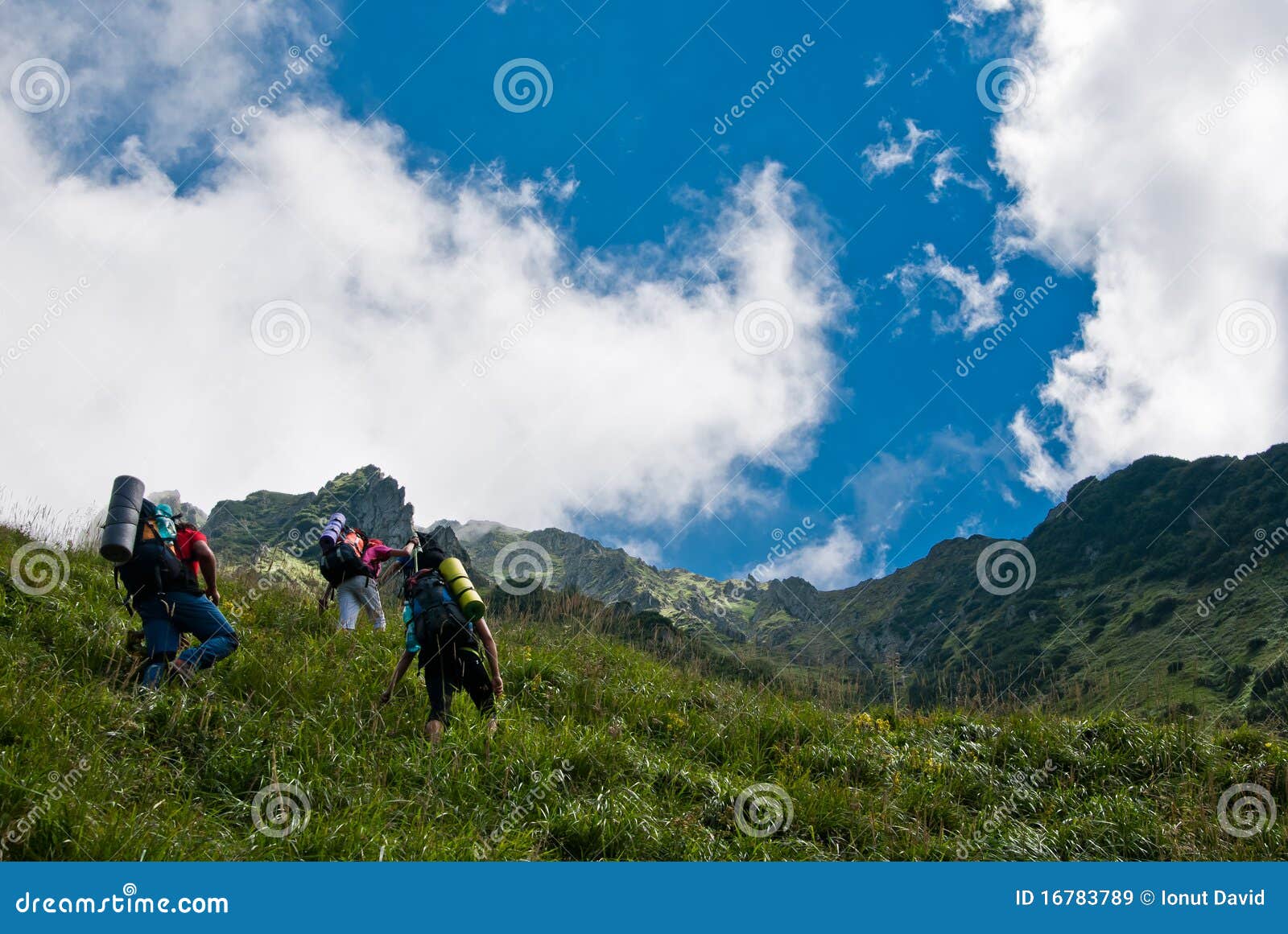 Wanderer stockbild. Bild von stark, tätigkeit, bemühung - 16783789