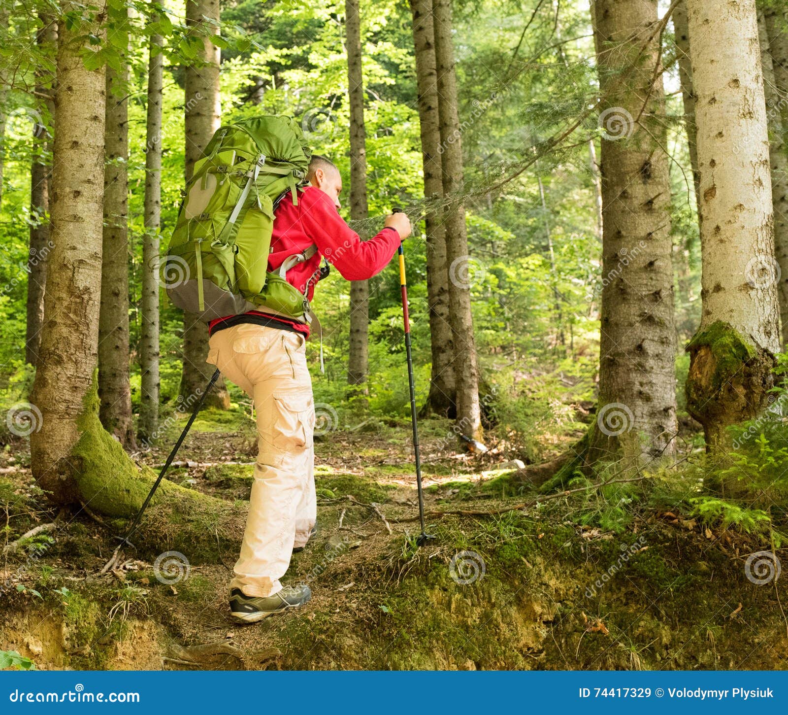 Wanderer im Wald stockbild. Bild von mann, wanderung - 74417329