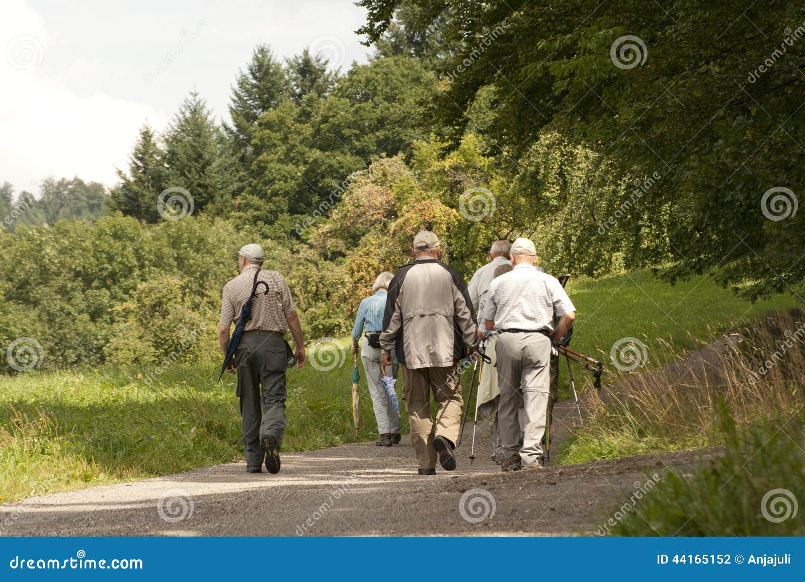 Wanderer, Seniors on Tour in Nature Editorial Photography - Image of ...