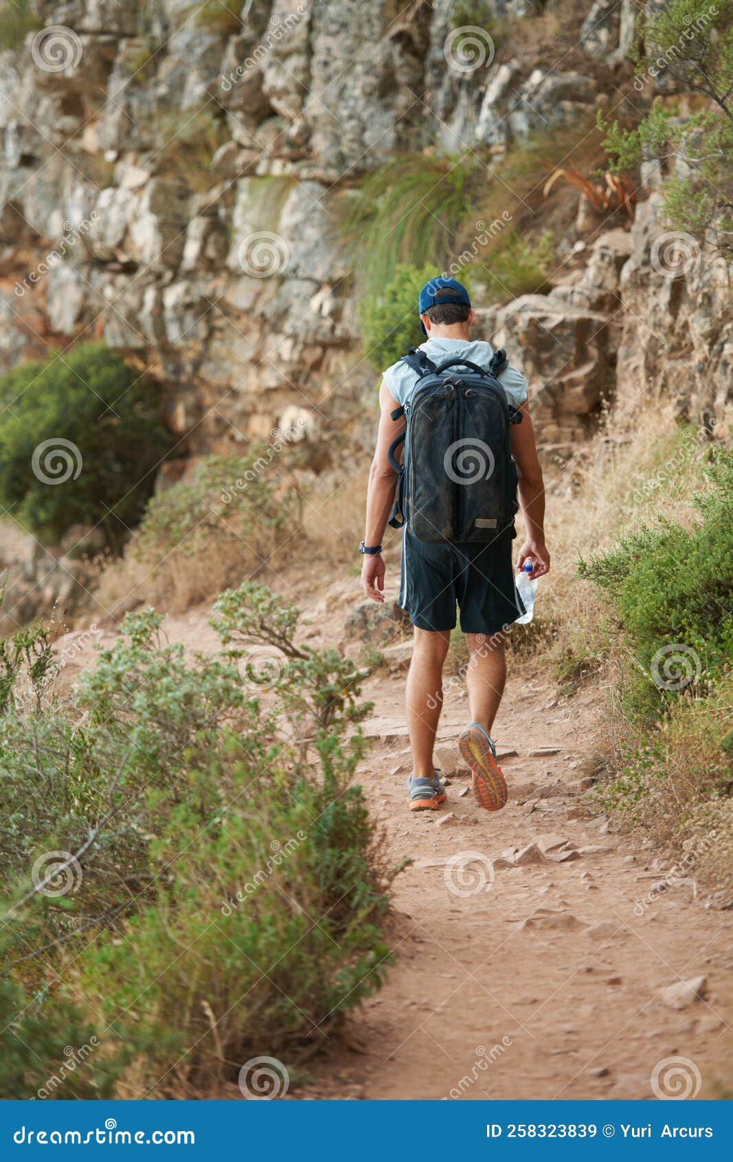 Wandering Down a Winding Path. Rear-view of a Young Hiker Walking Down ...