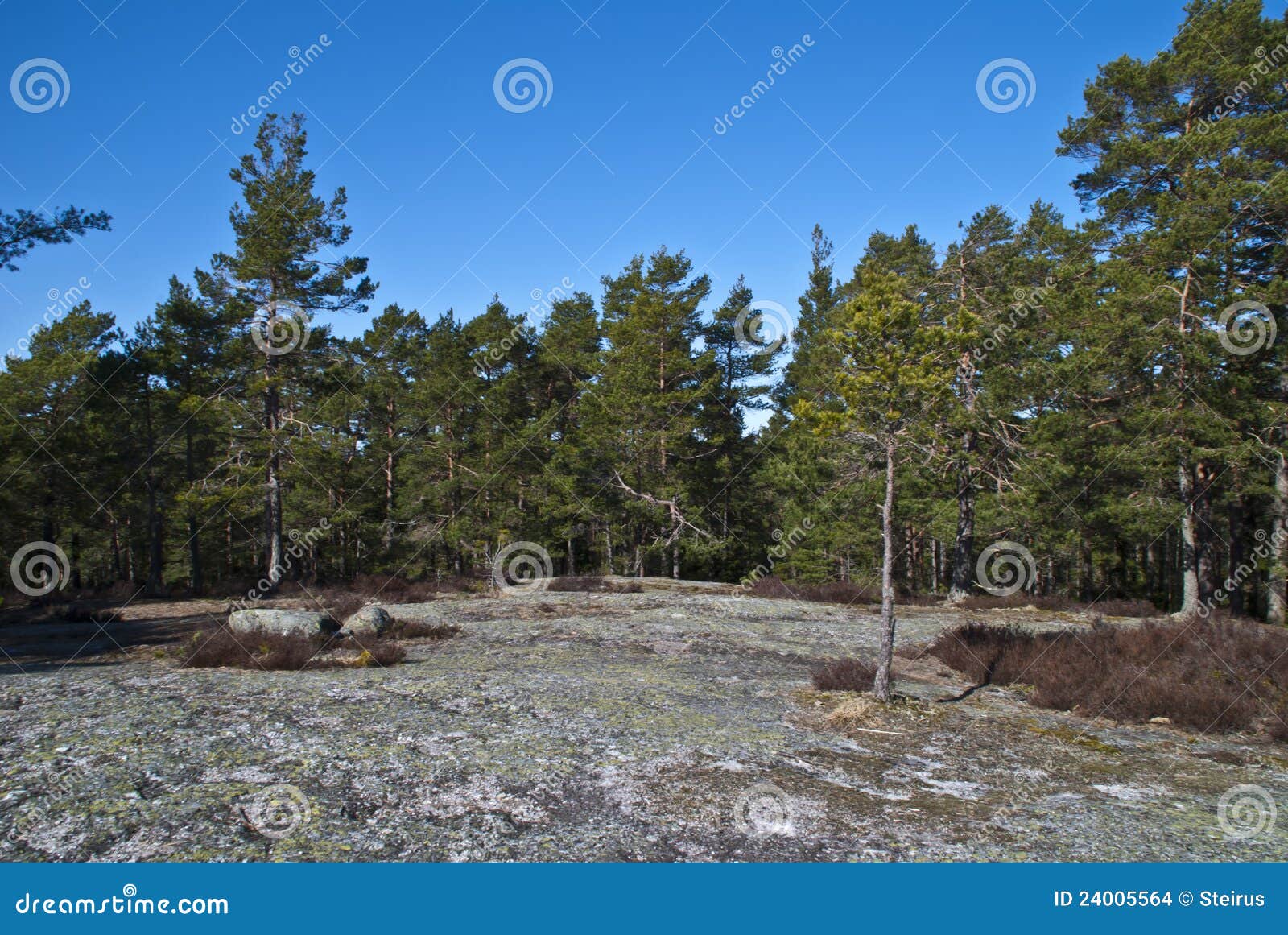 Wandering in the Rock Path. Score Rock Stock Photo - Image of country ...