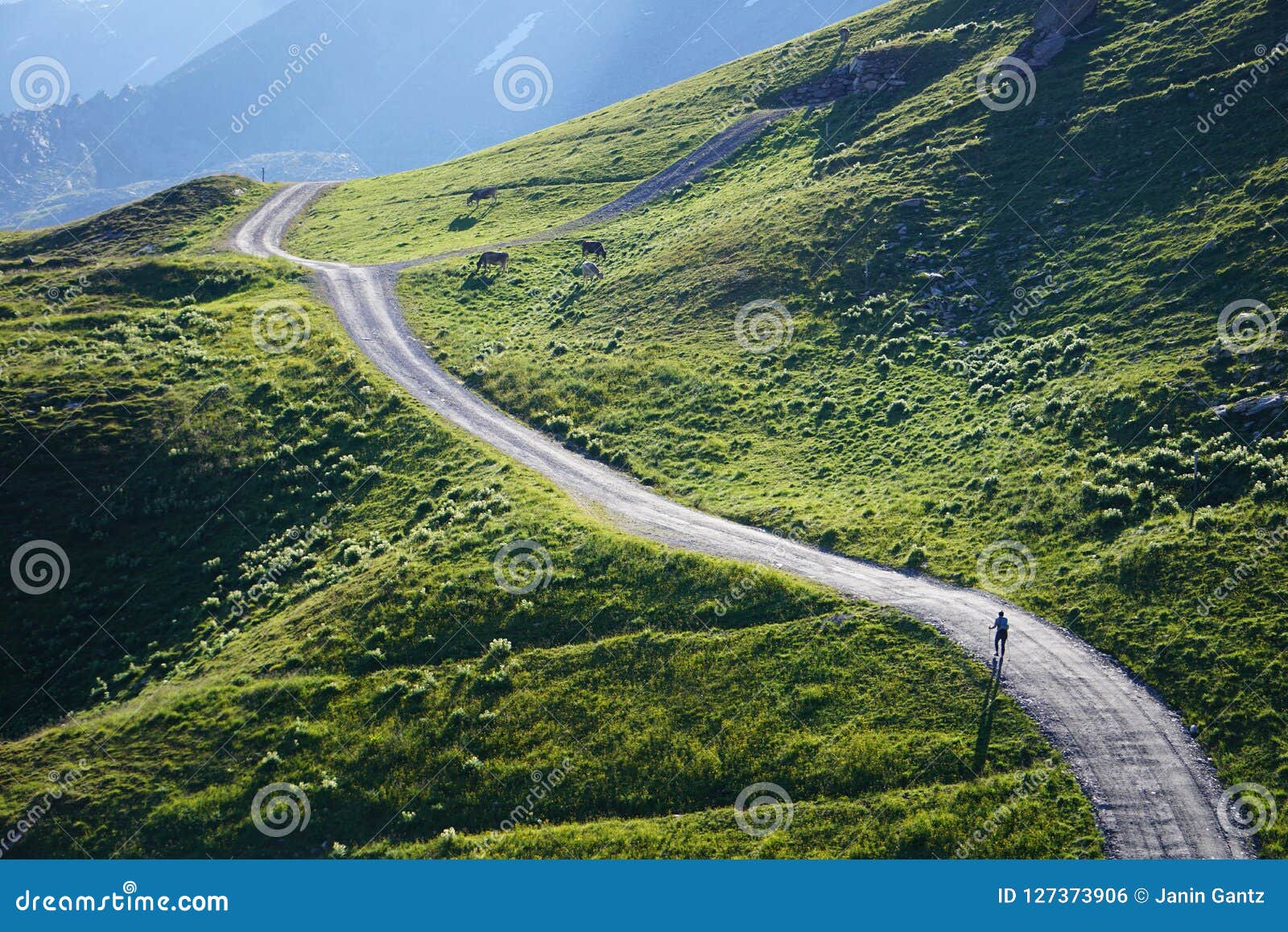 Wandern in Den Bergen Auf Einem Langen Weg Oder Einer Bahn Stockfoto ...