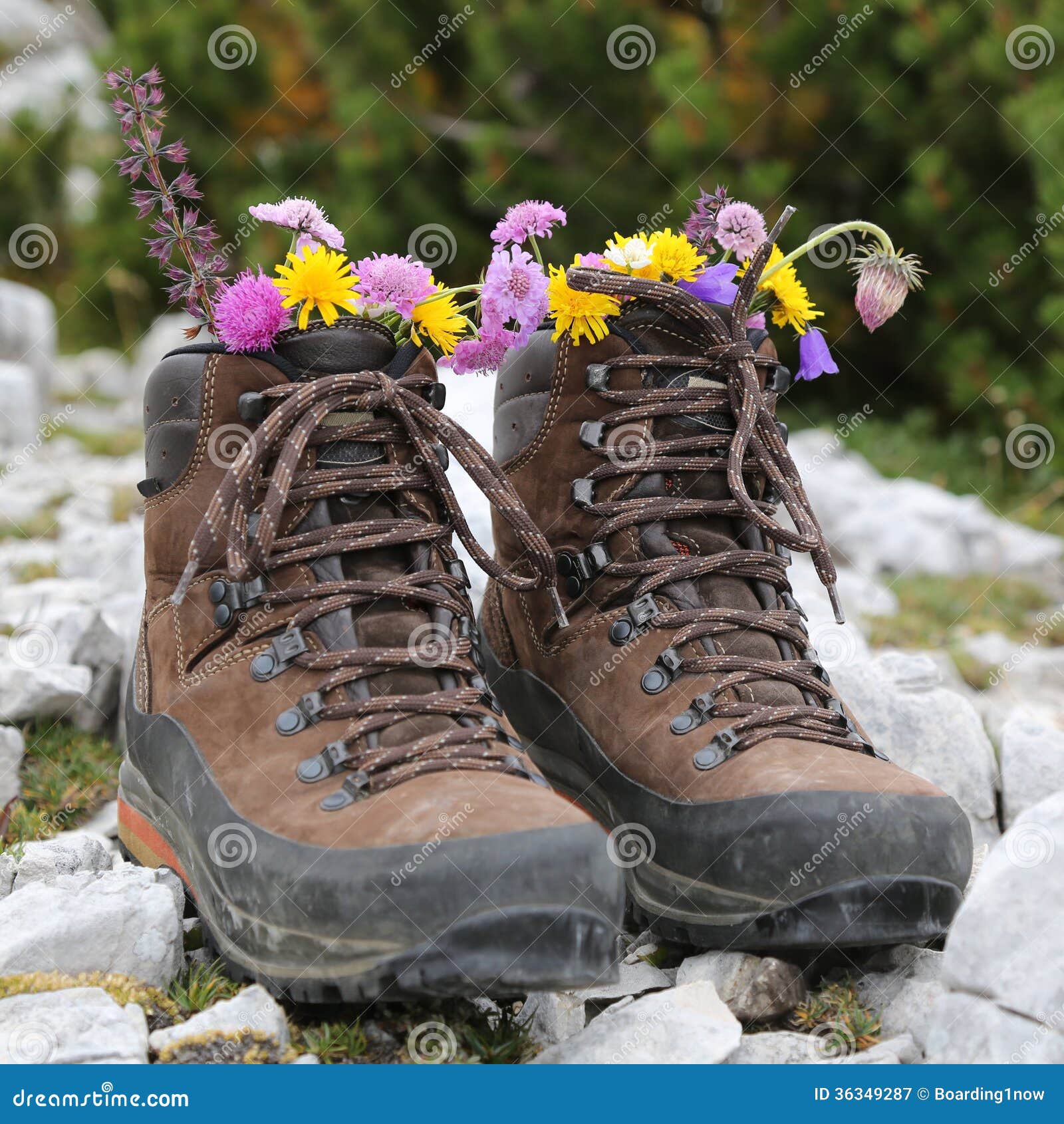 Wanderstiefel Mit Blumen in Den Bergen Stockbild - Bild von reisen ...